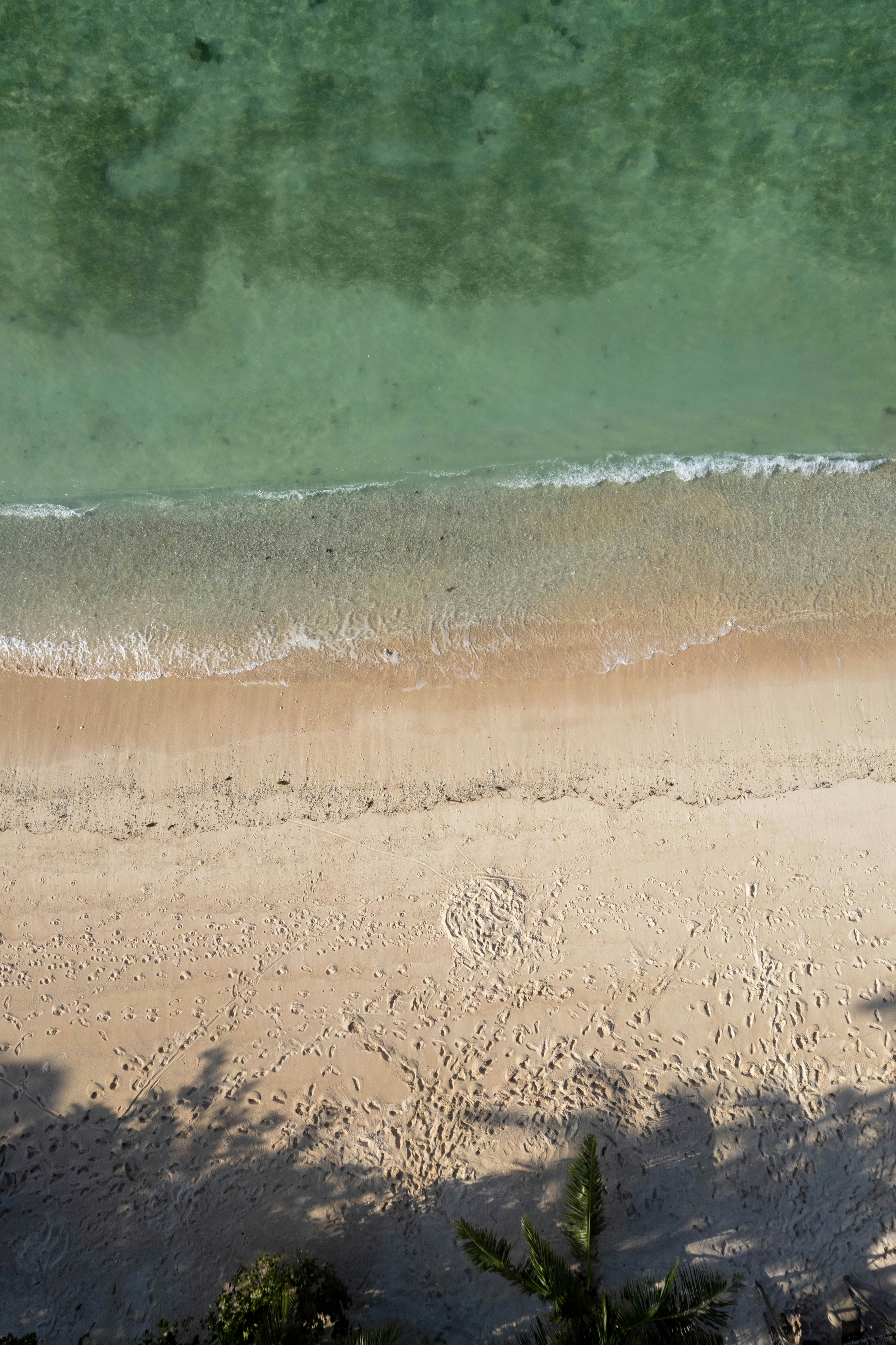 Traces of Serenity: A Beach's Whisper
