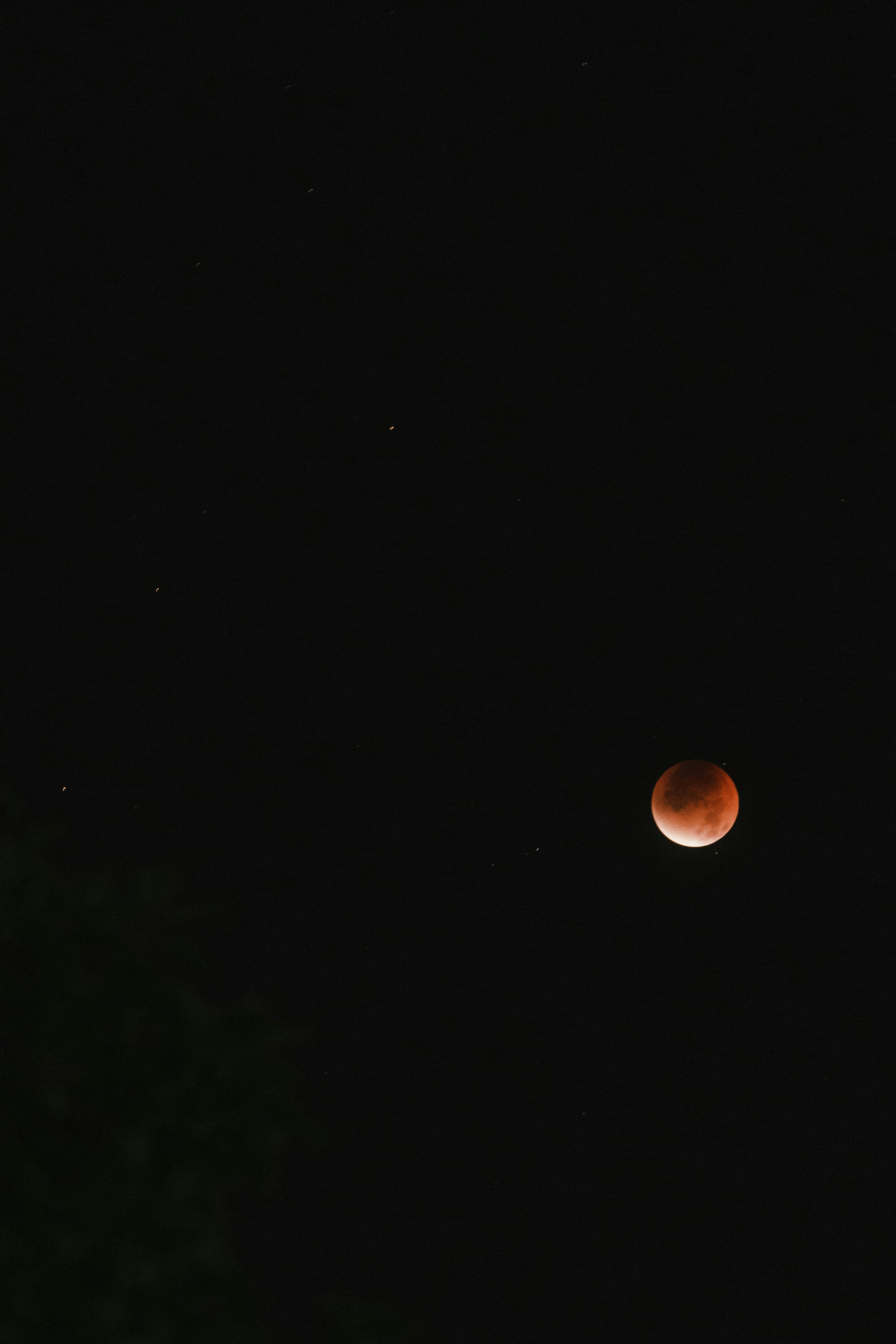 A blood moon eclipses in a starry night sky. photo – Free Image on Unsplash