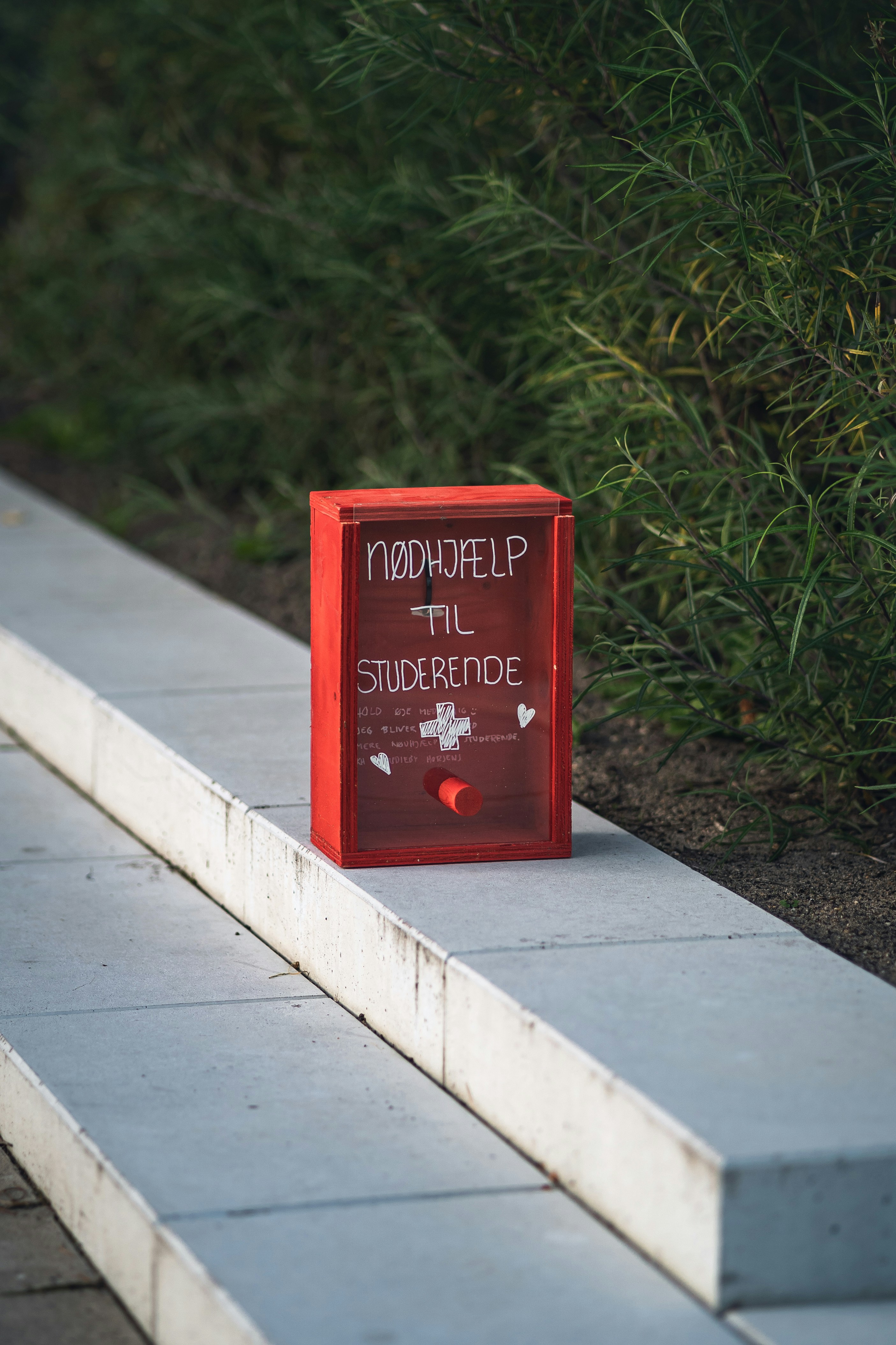 A Beacon of Support for Students