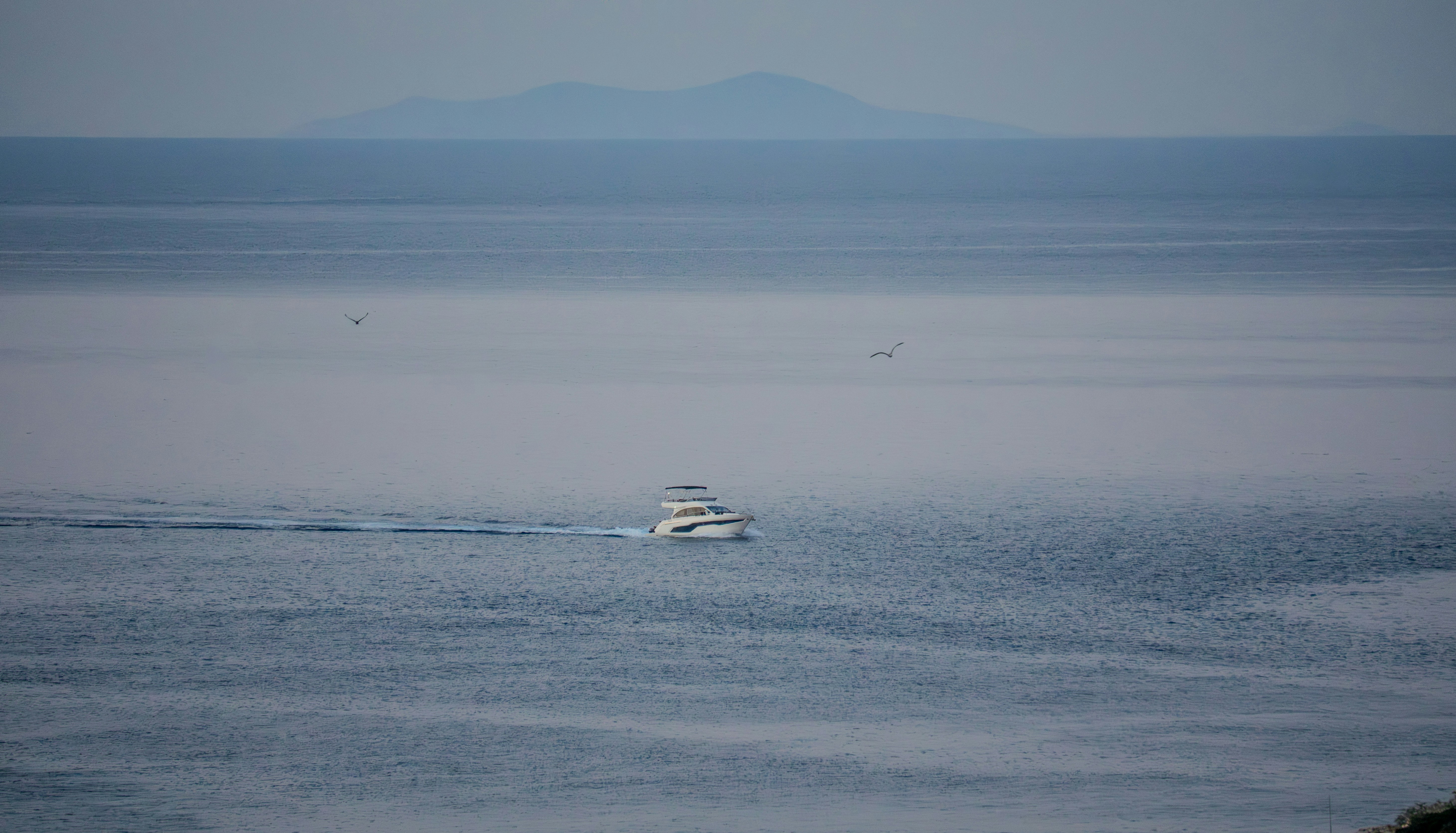 A yacht glides across a calm sea, with distant islands barely visible on the horizon. Seagulls can be seen flying in the tranquil atmosphere.