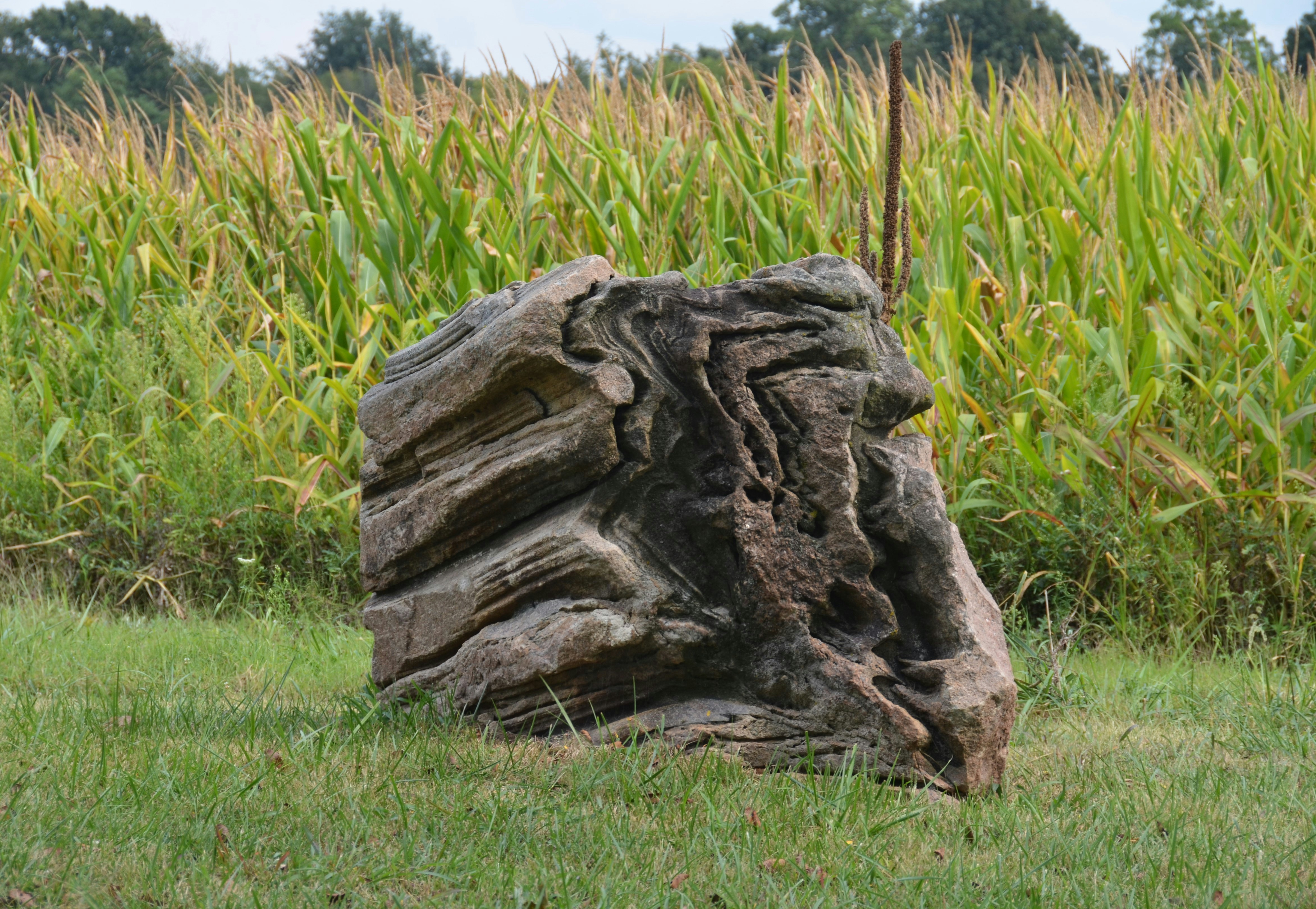Nature's Sculpted Remnant