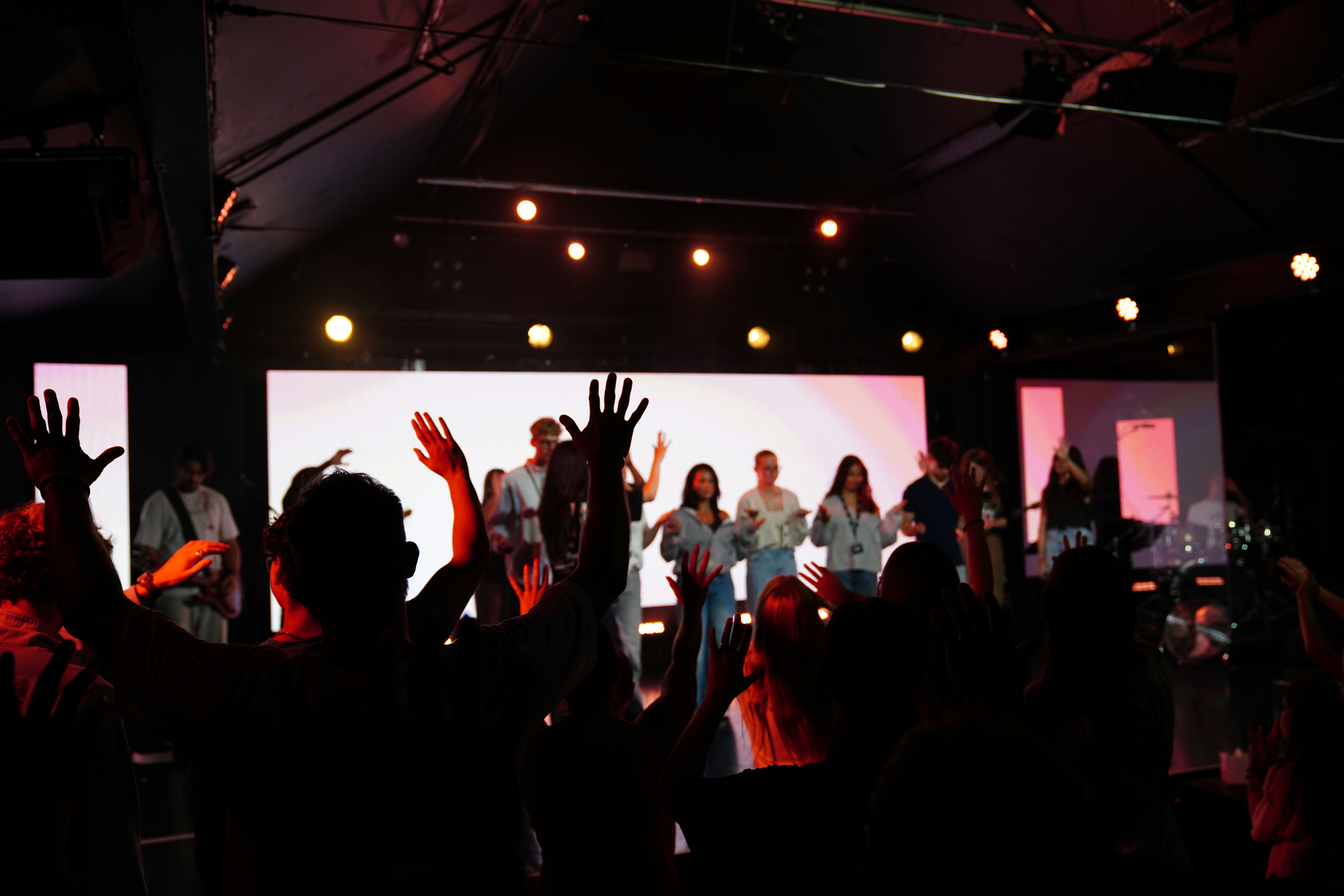 Harmony in Motion: A Collective Expression of Joy