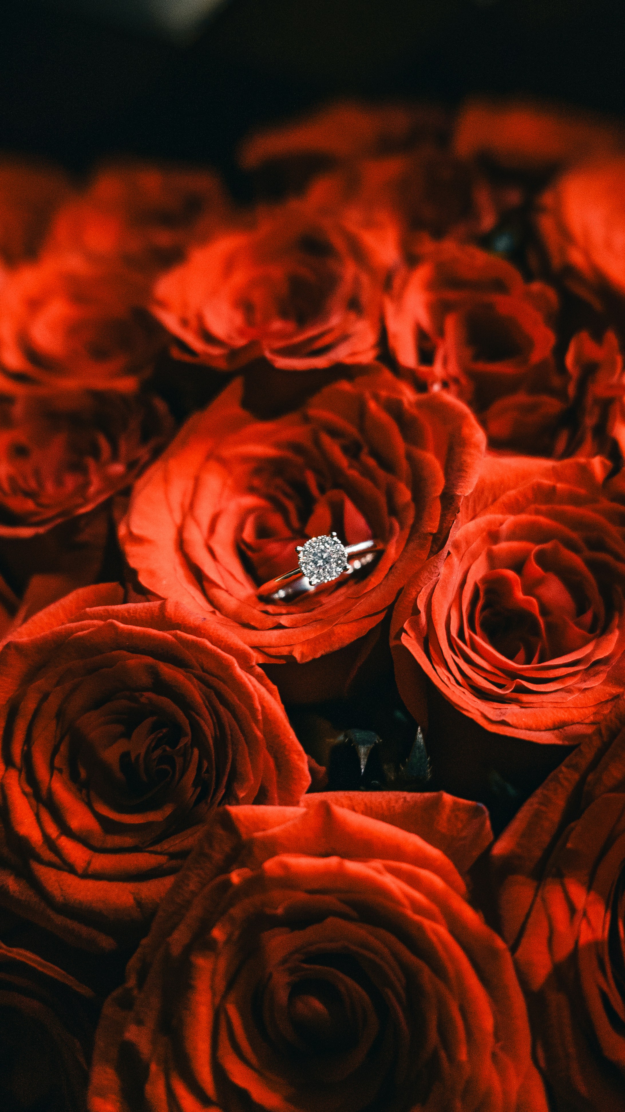 Eternal Promise Amidst Blooming Love