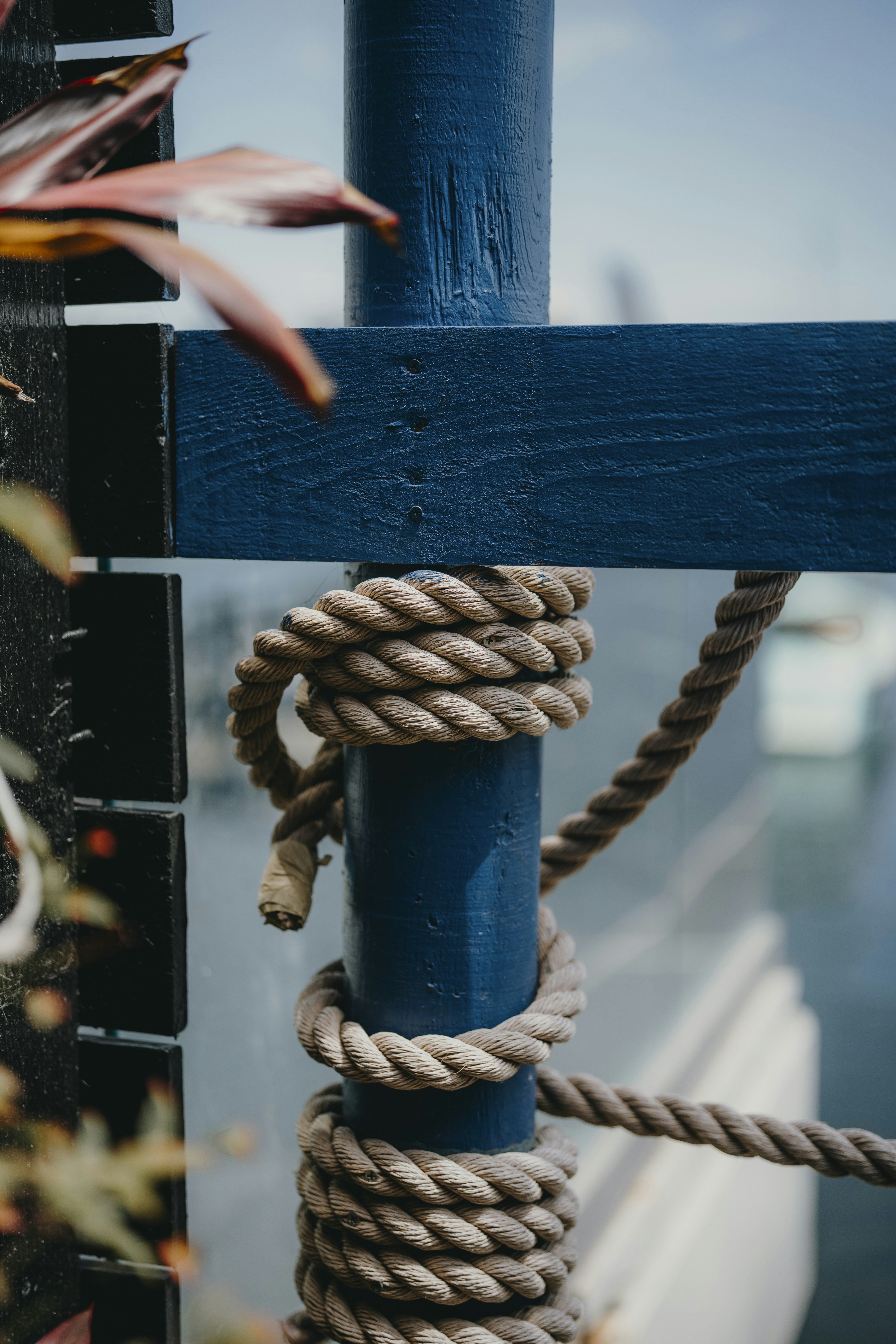 Tangled Textures: A Nautical Embrace