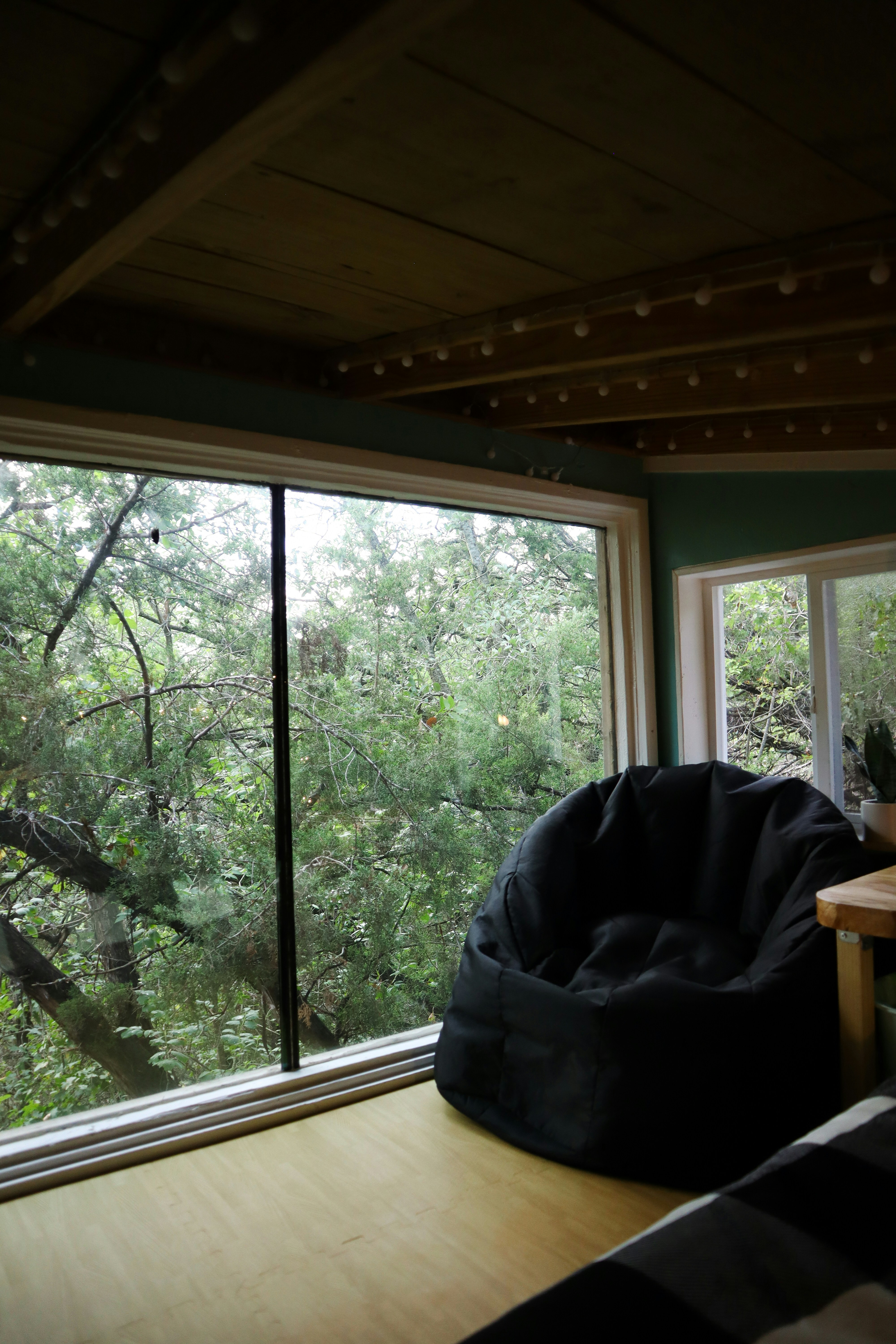 Serene Retreat: Nature's Embrace Through the Window
