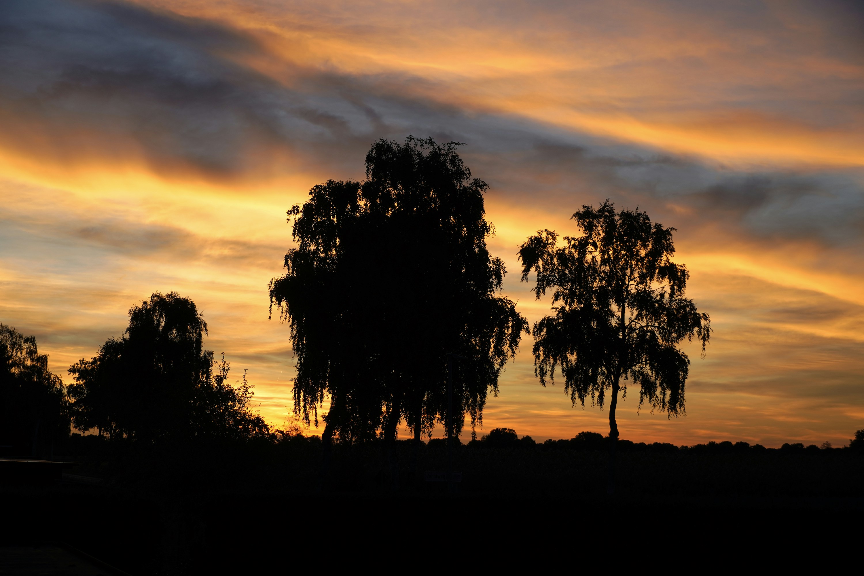 Sunset, Lower Saxony - todorandonov.com | Silhouetted trees against a vibrant sunset sky
