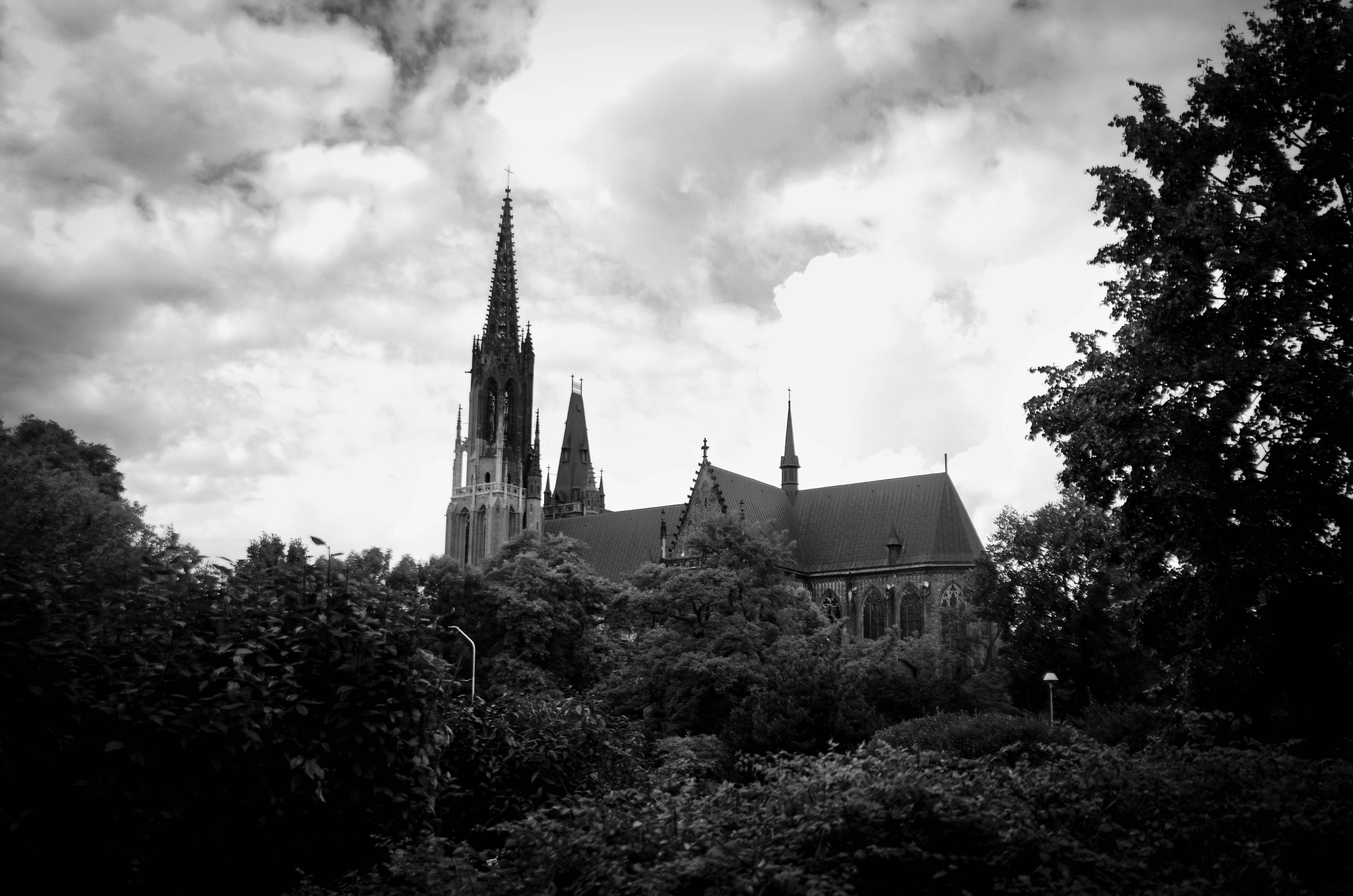 Whispers of Time: A Gothic Spire Amongst Nature