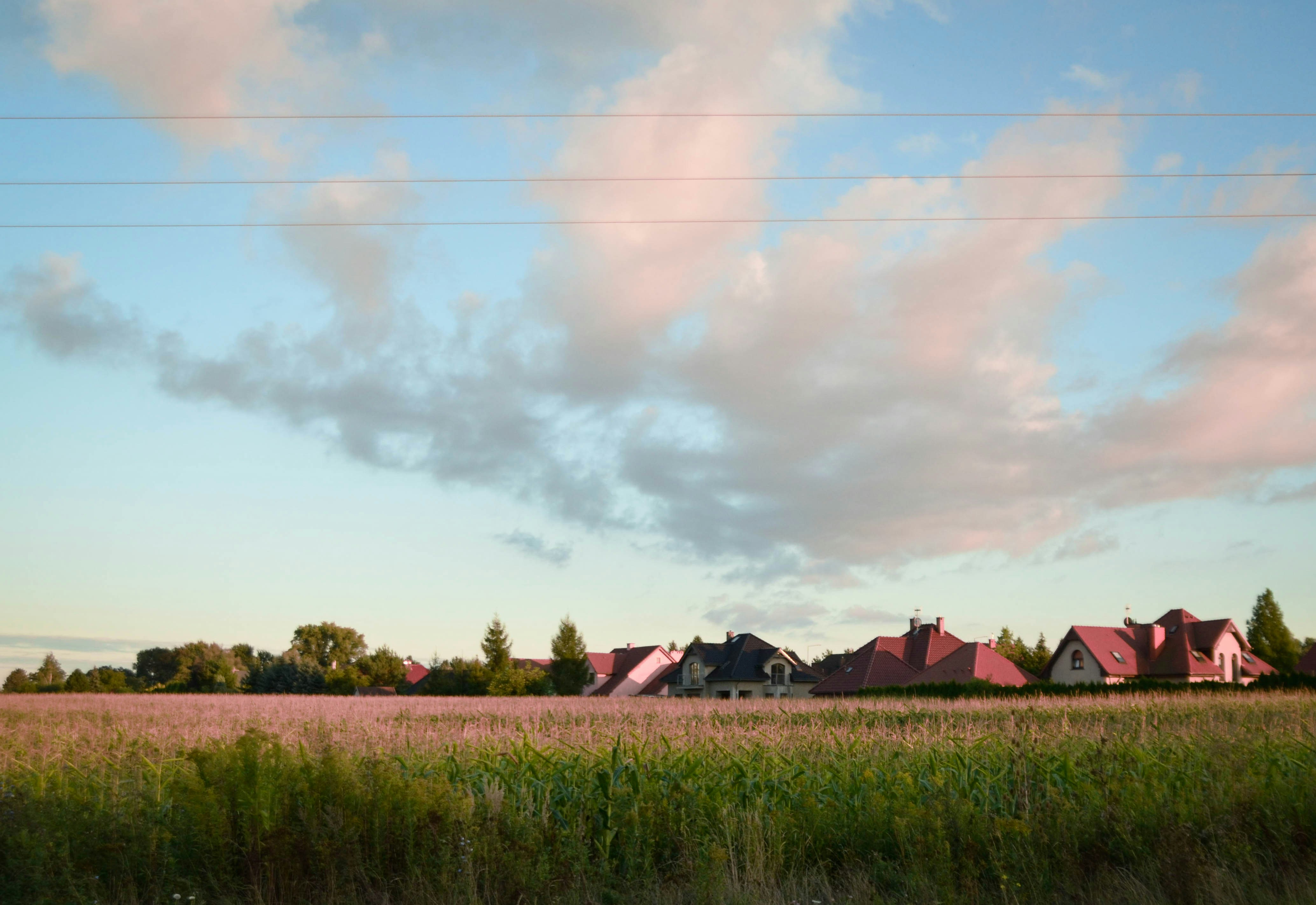 Harmony of Nature and Architecture