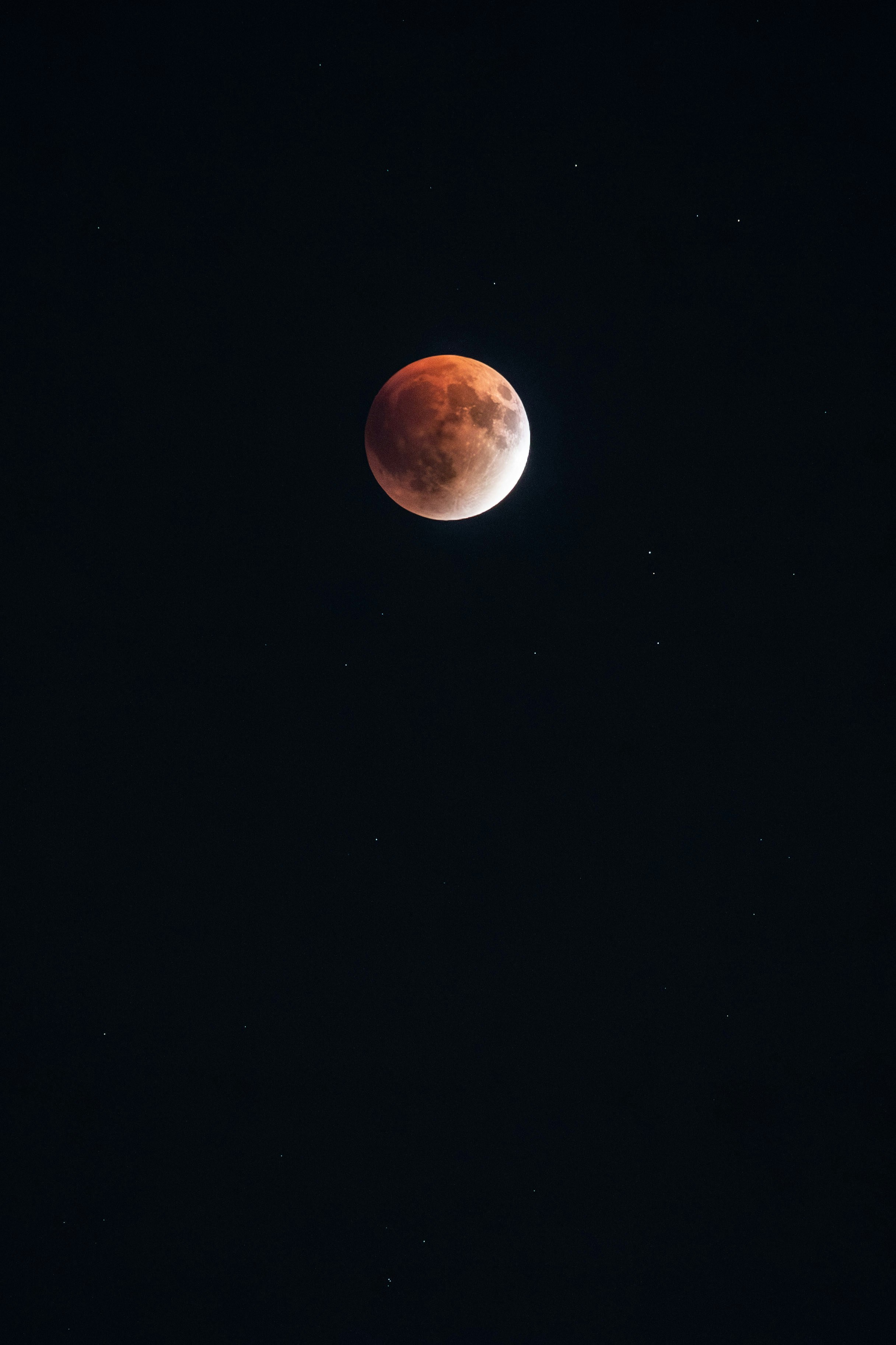 Blood moon eclipse in starry night sky