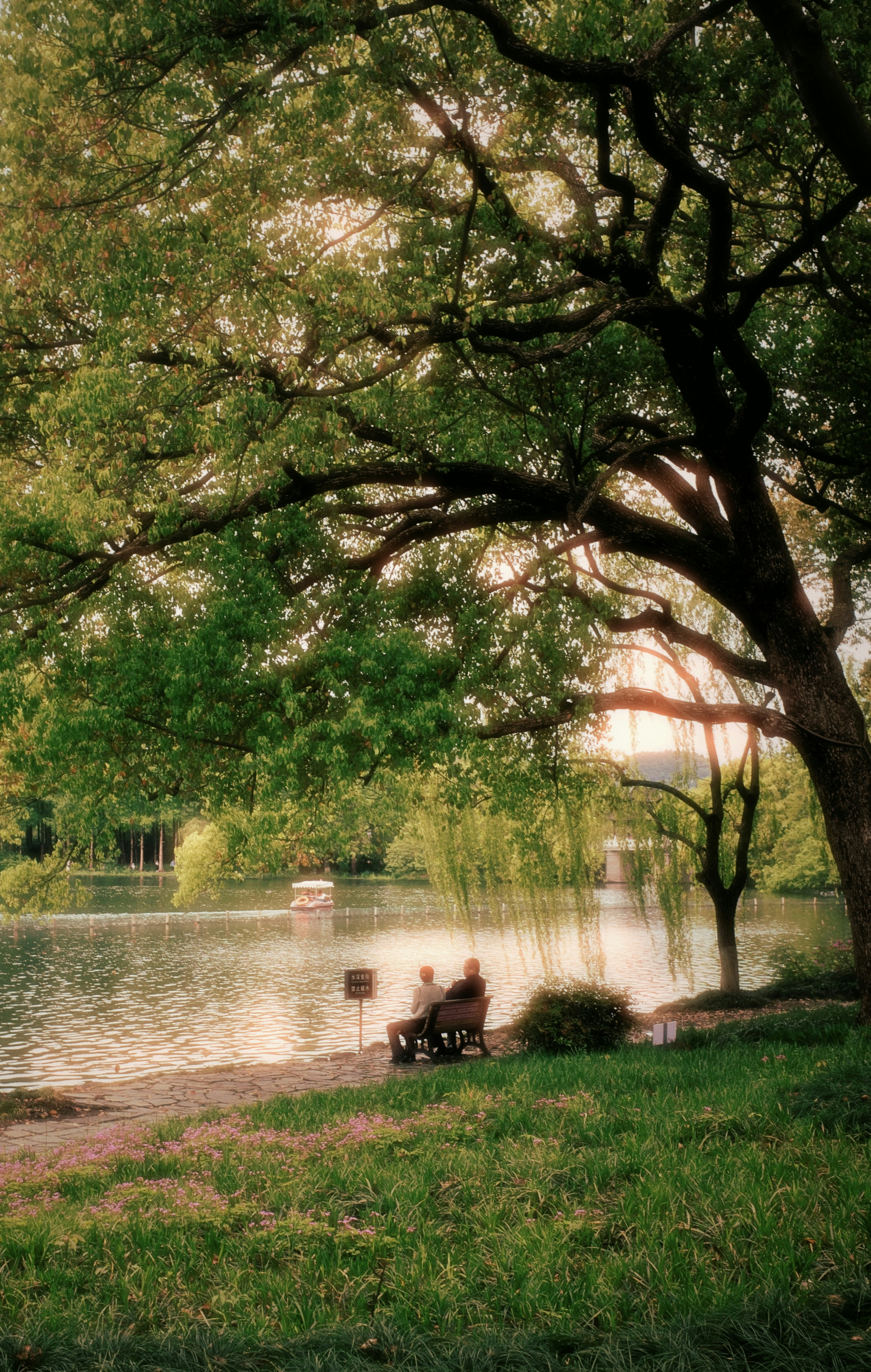 Whispers of Serenity by the Water's Edge
