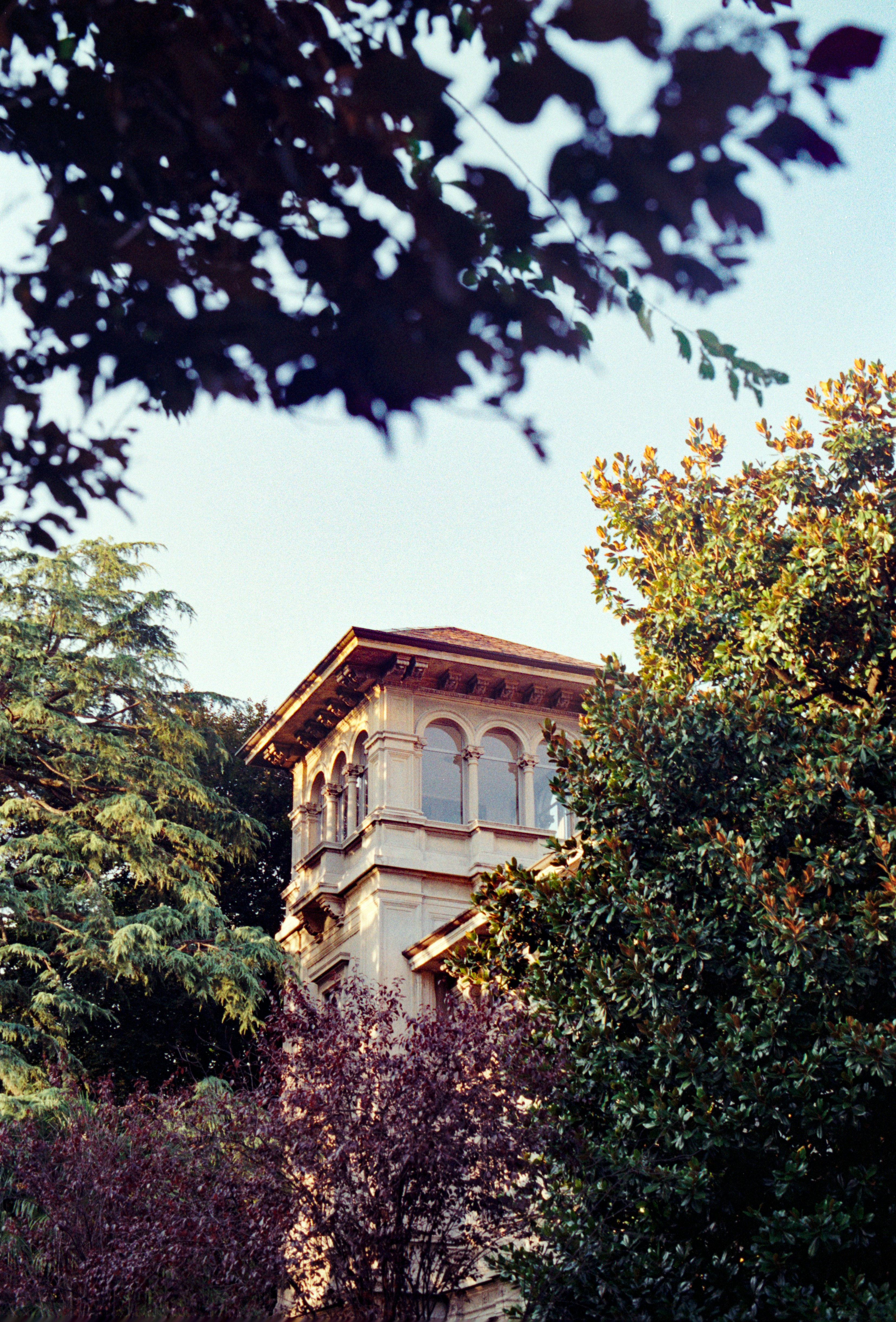 Ornate tower peeking through lush green trees
