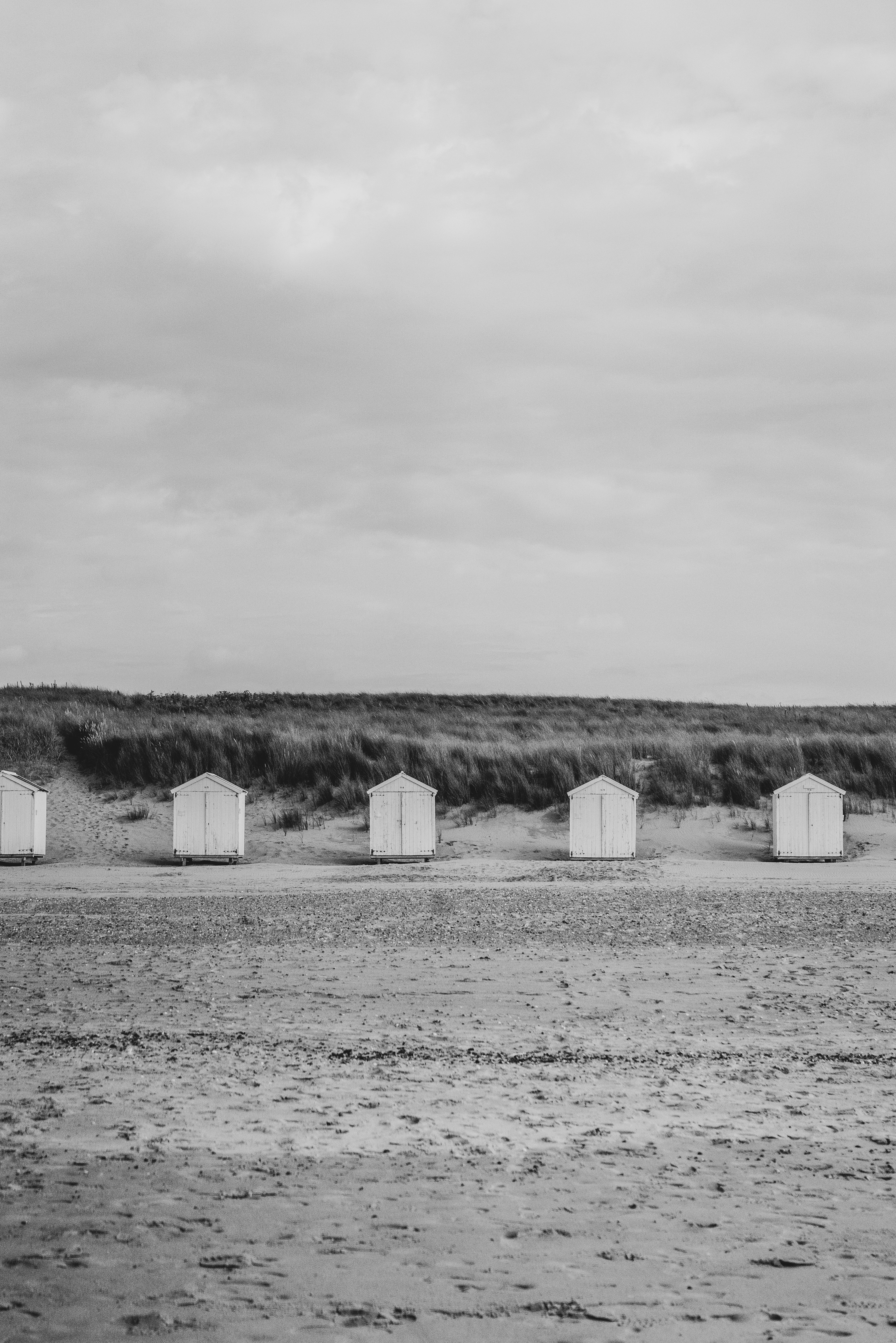 Whispers of the Shoreline: A Study in Simplicity