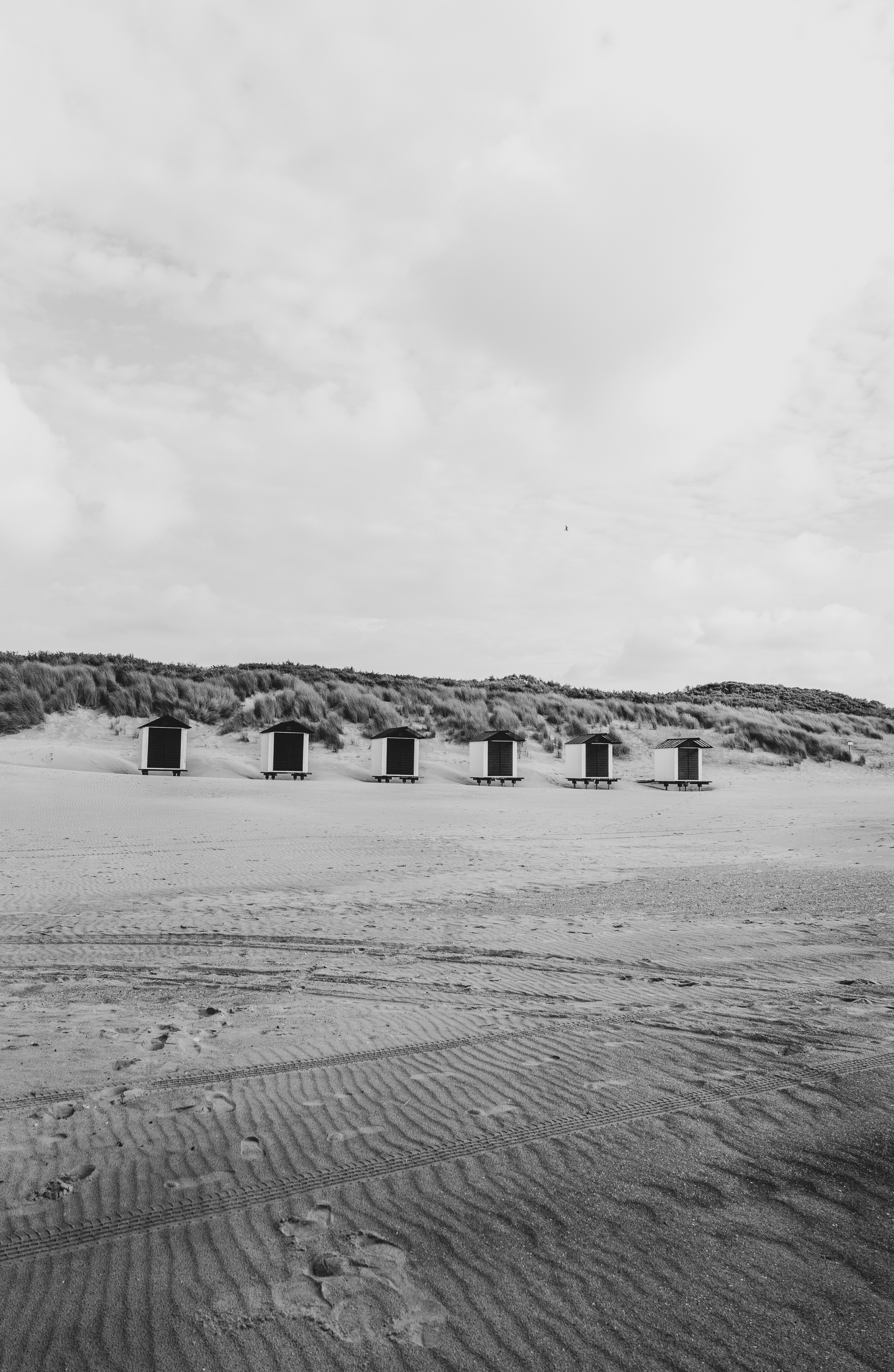 Monochrome Row of Dune-Huts Under a Quiet Sky