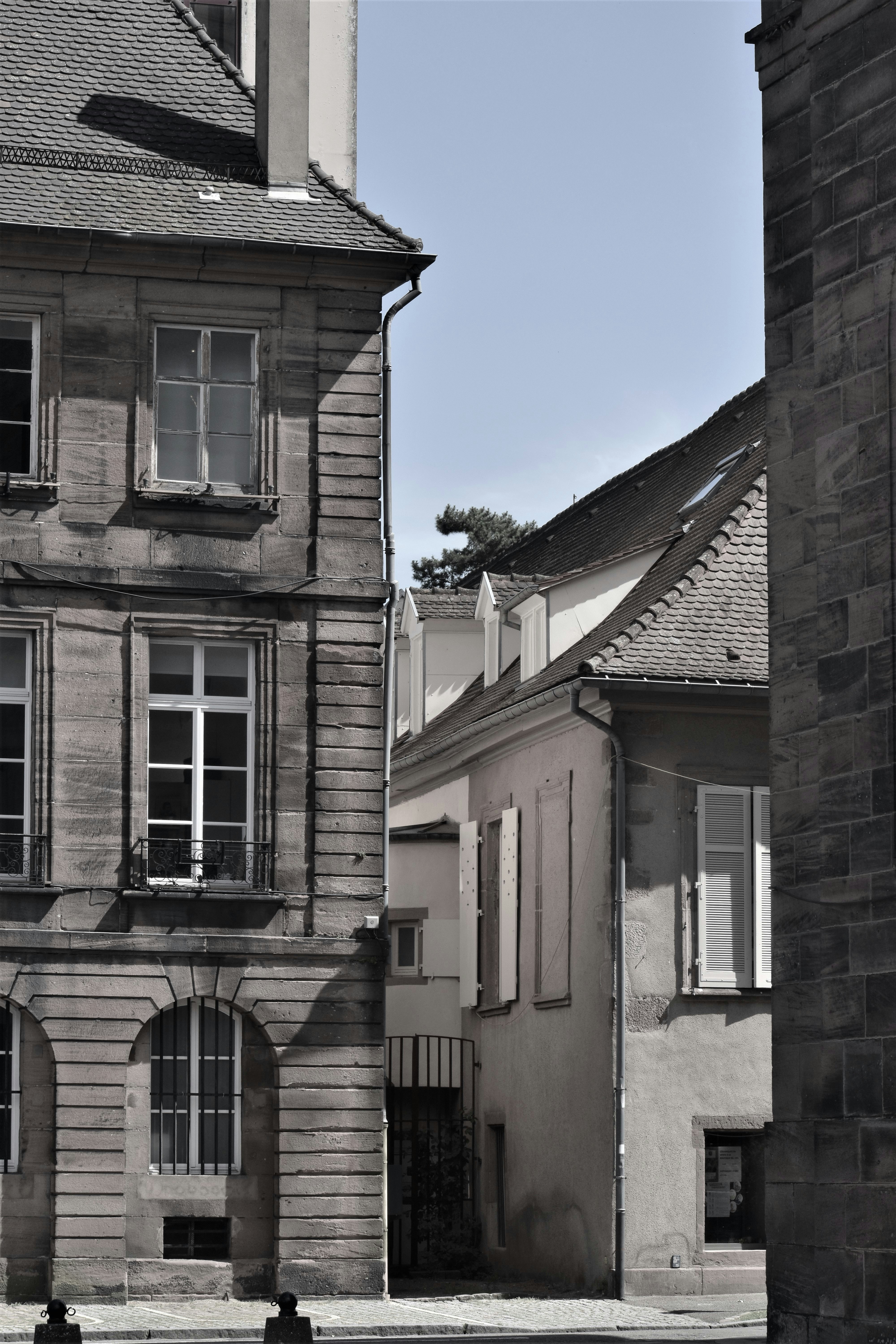 Whispers of Architectural Elegance