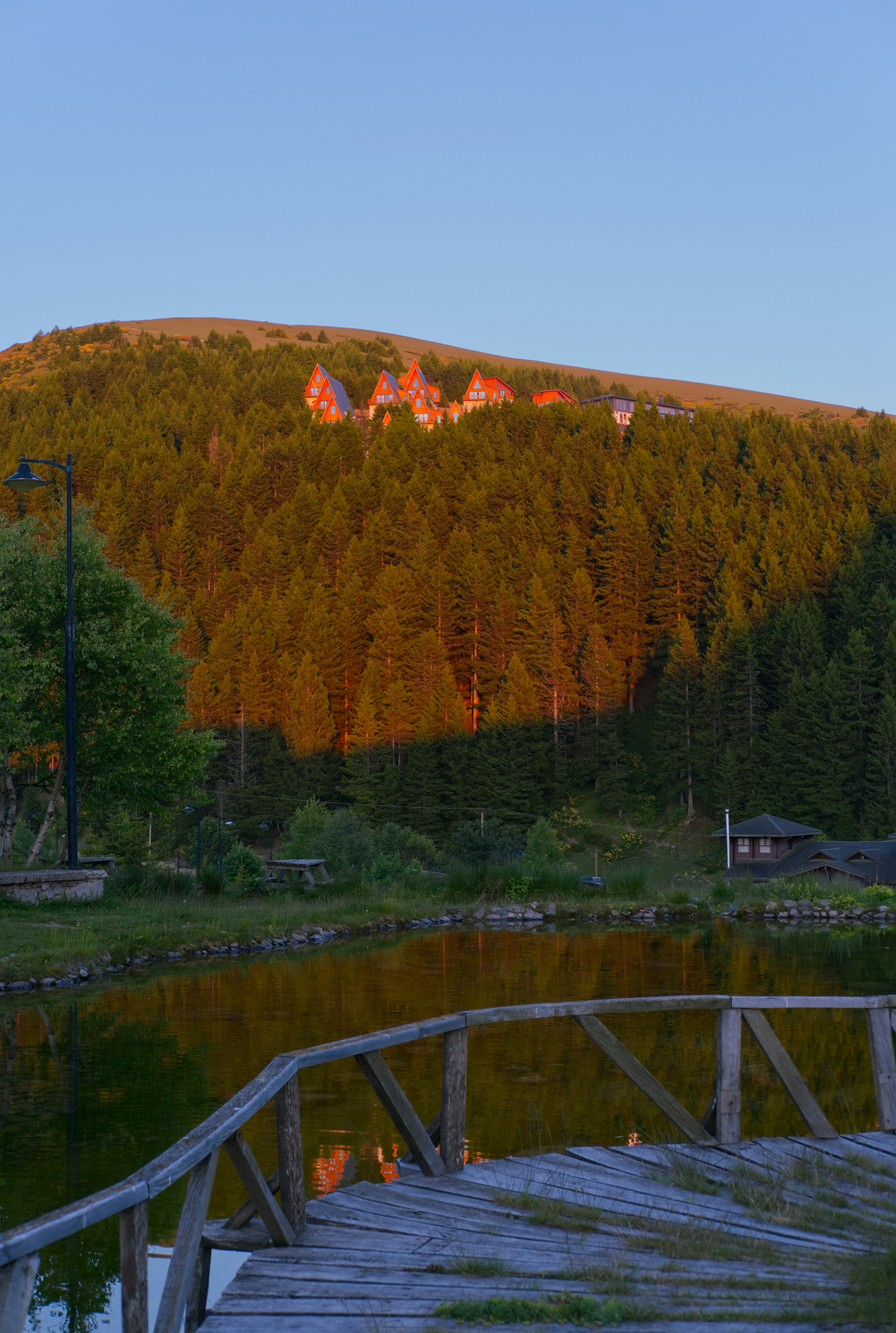 Sunset Embrace Over the Pine-Capped Hills