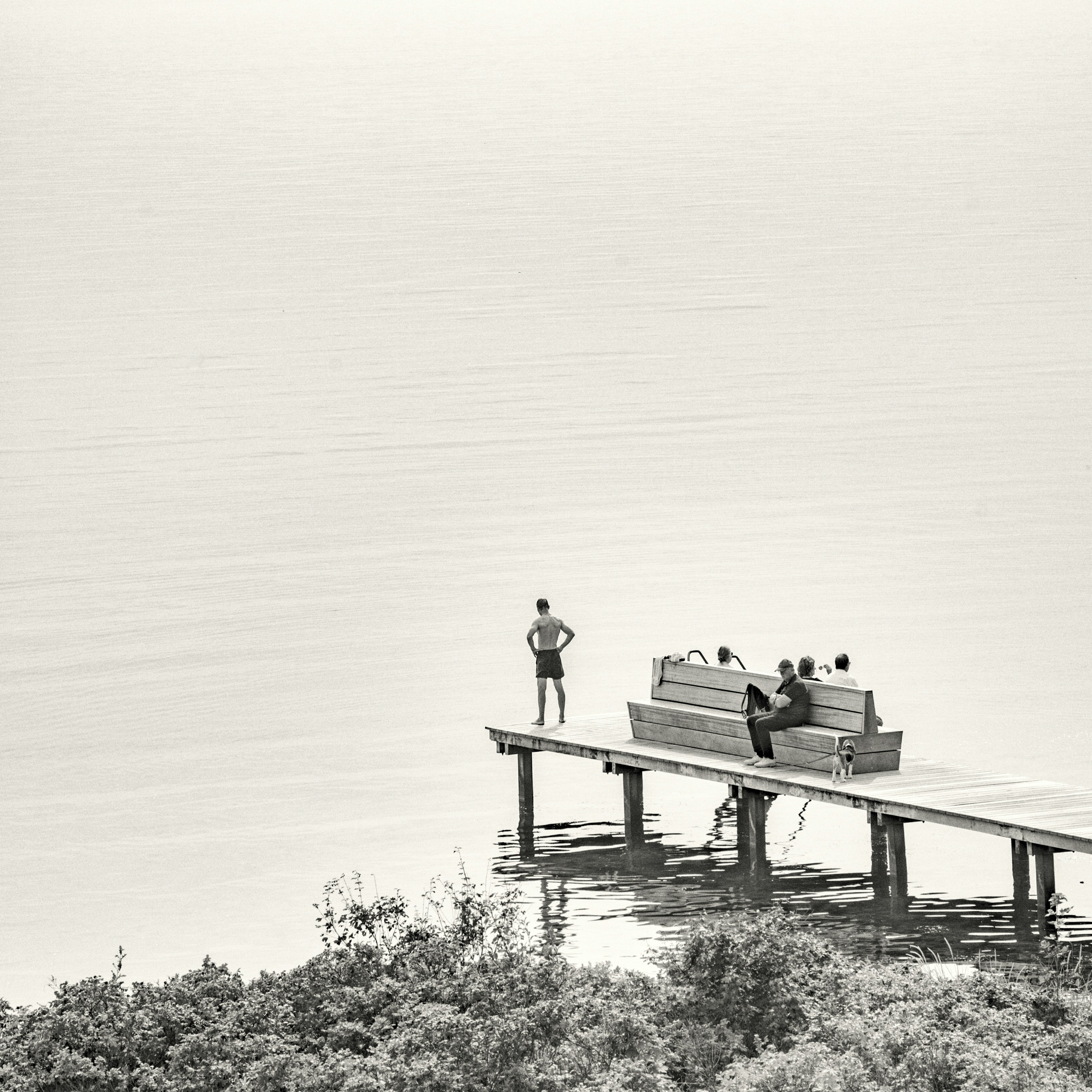 Minimalist black and white photo of people relaxing on a wooden pier extending into calm waters, Denmark. | People relax on a wooden pier overlooking the water.