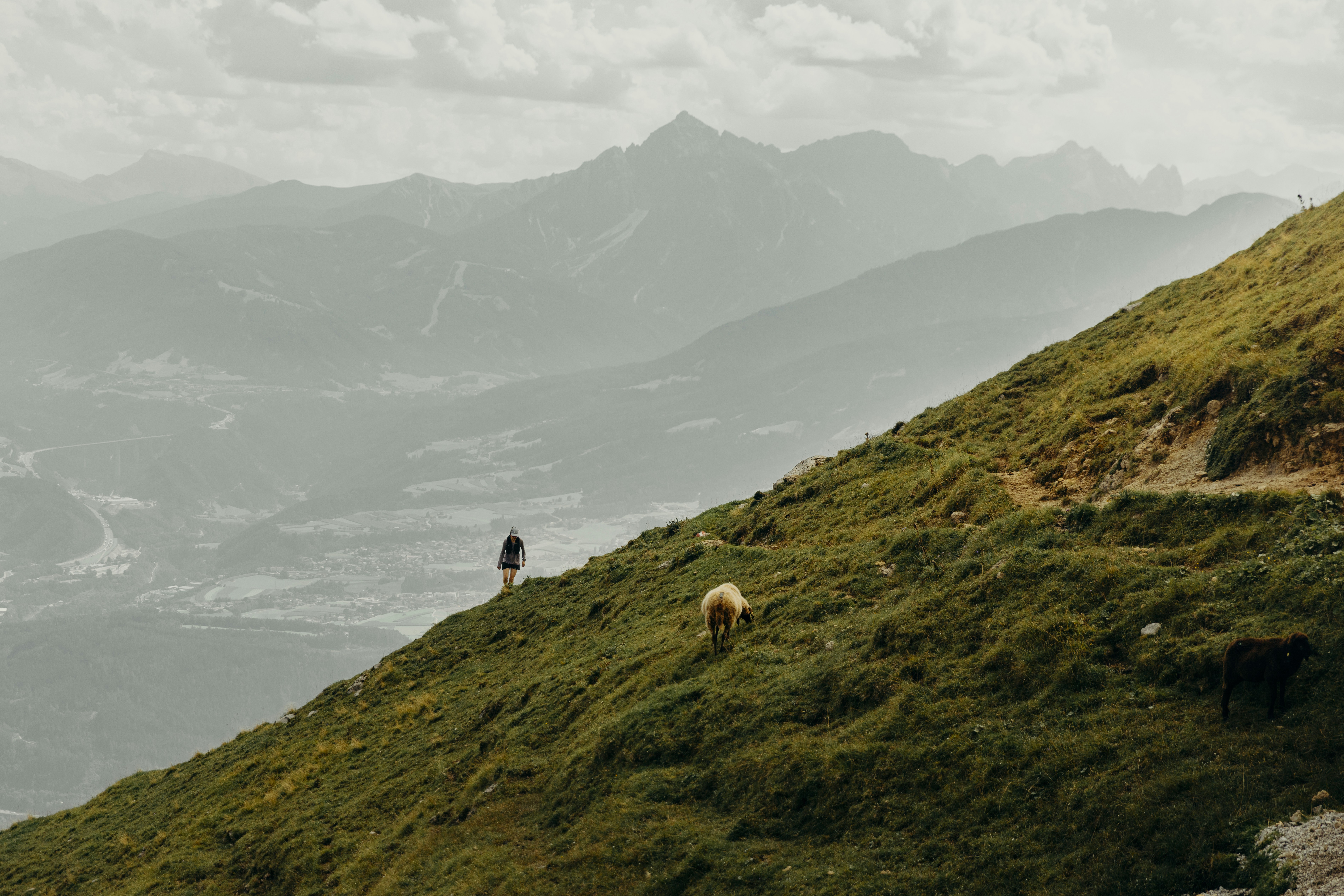 Journey Through the Alpine Whisper