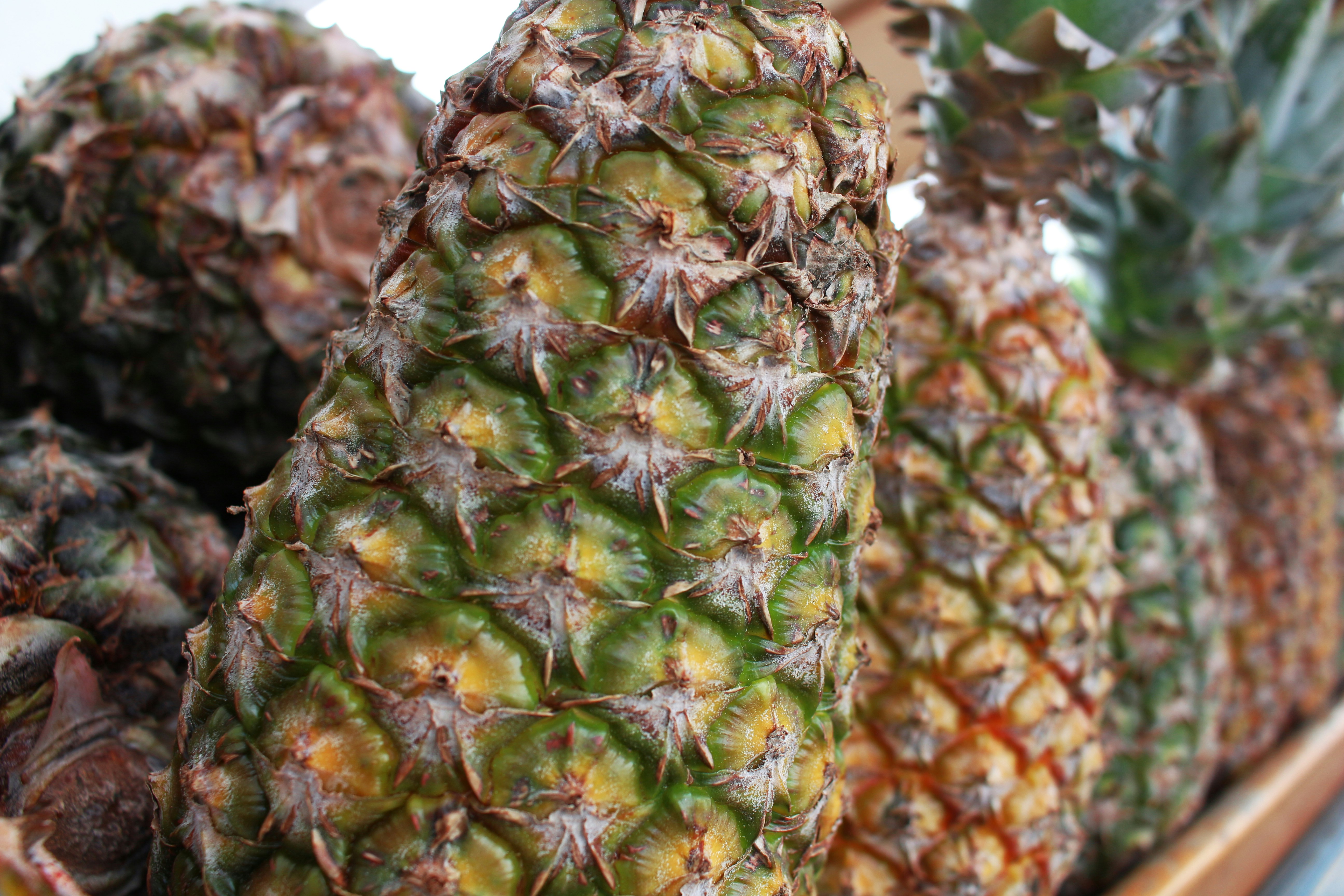 Tropical Textures: A Pineapple Perspective