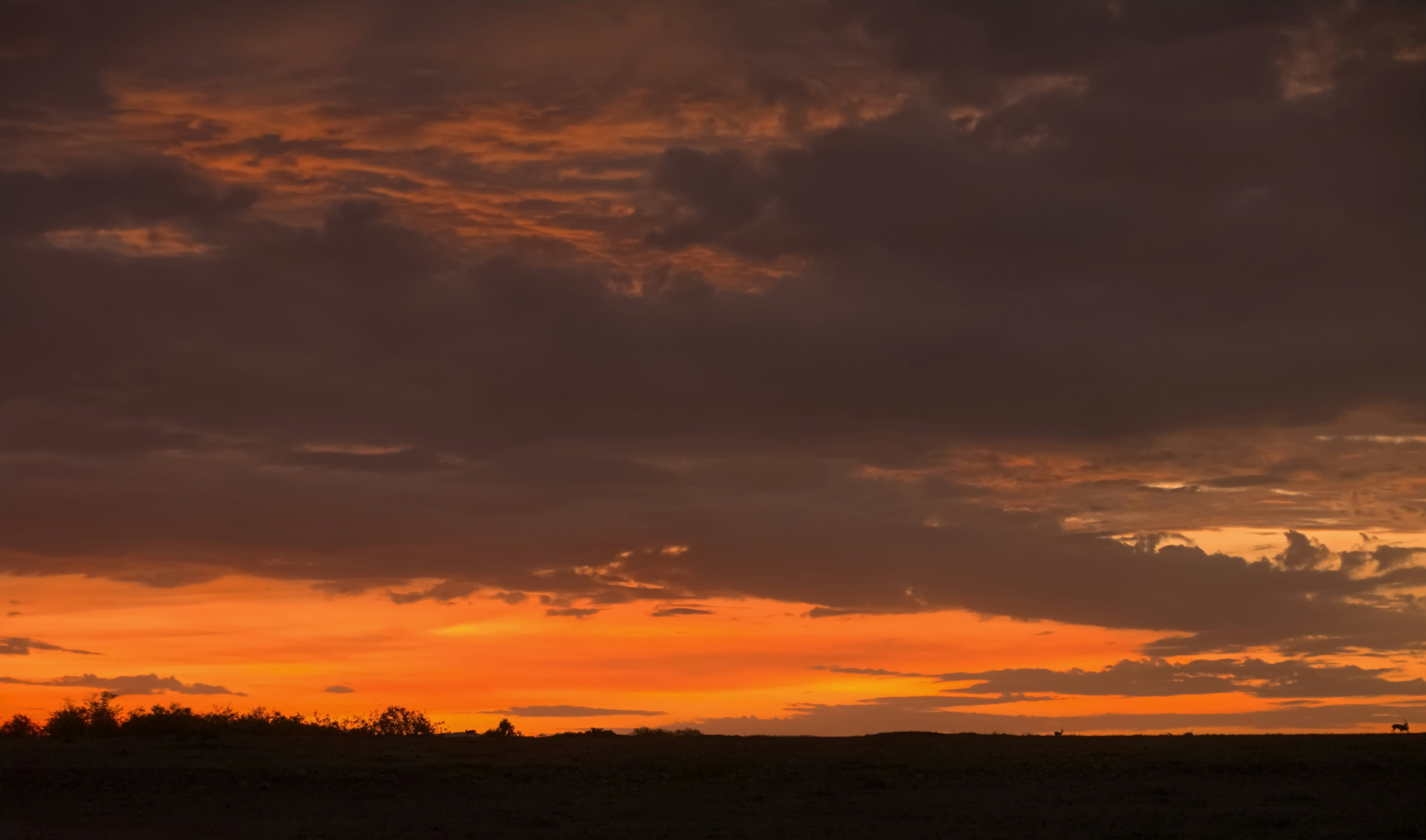 Twilight's Embrace Over the Horizon