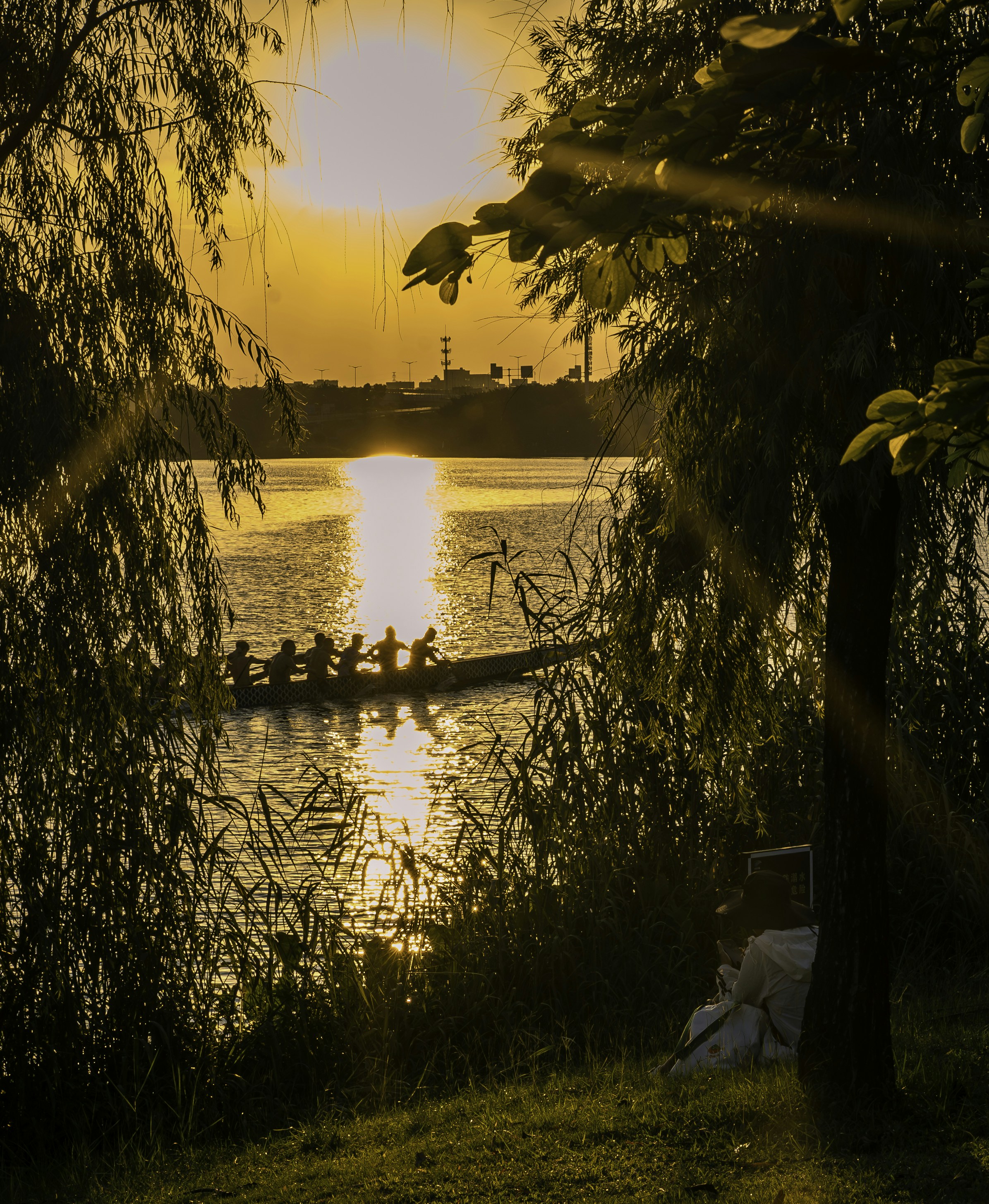 Rowers Embracing the Golden Hour