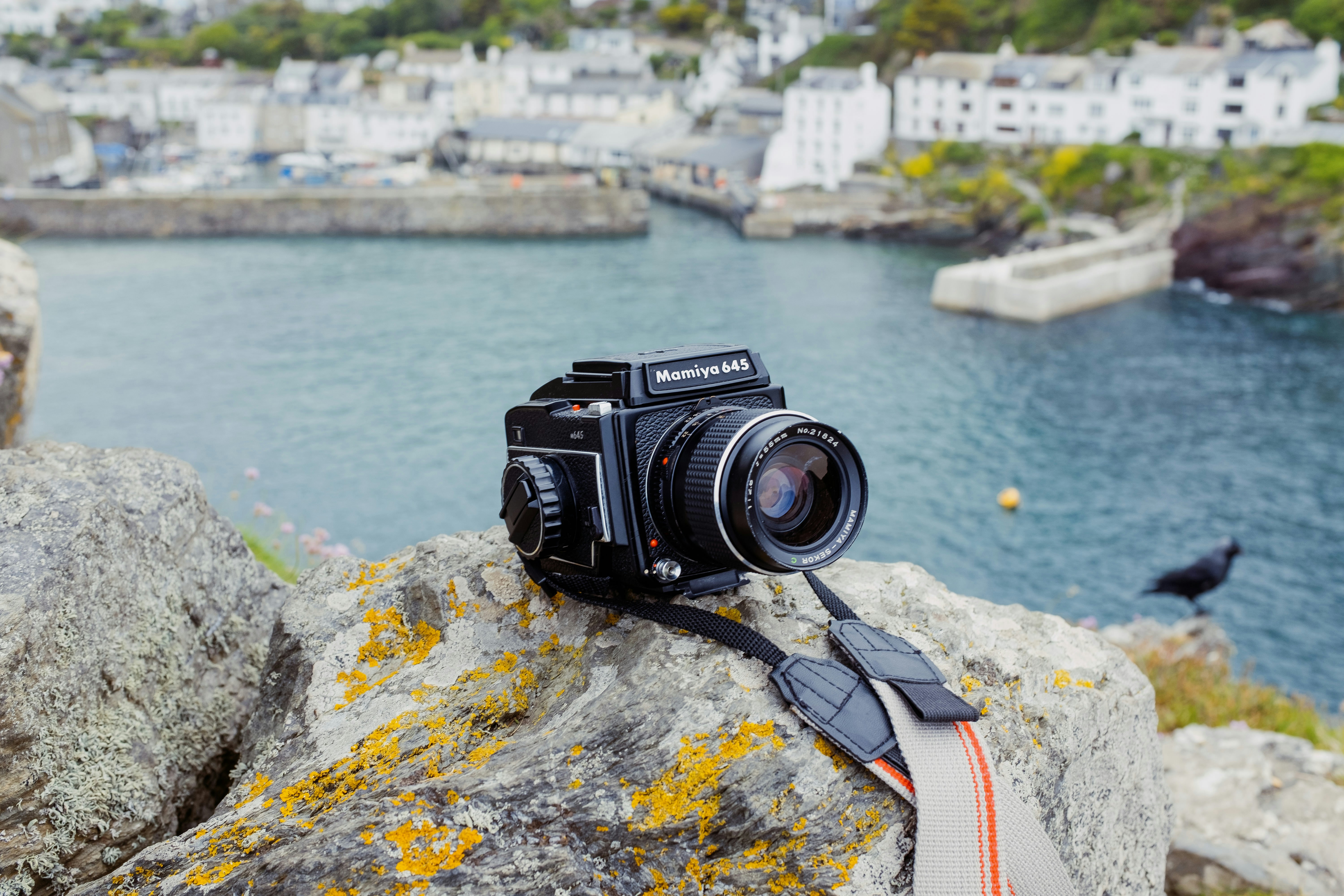 A Quiet Moment with the Multiflex 645