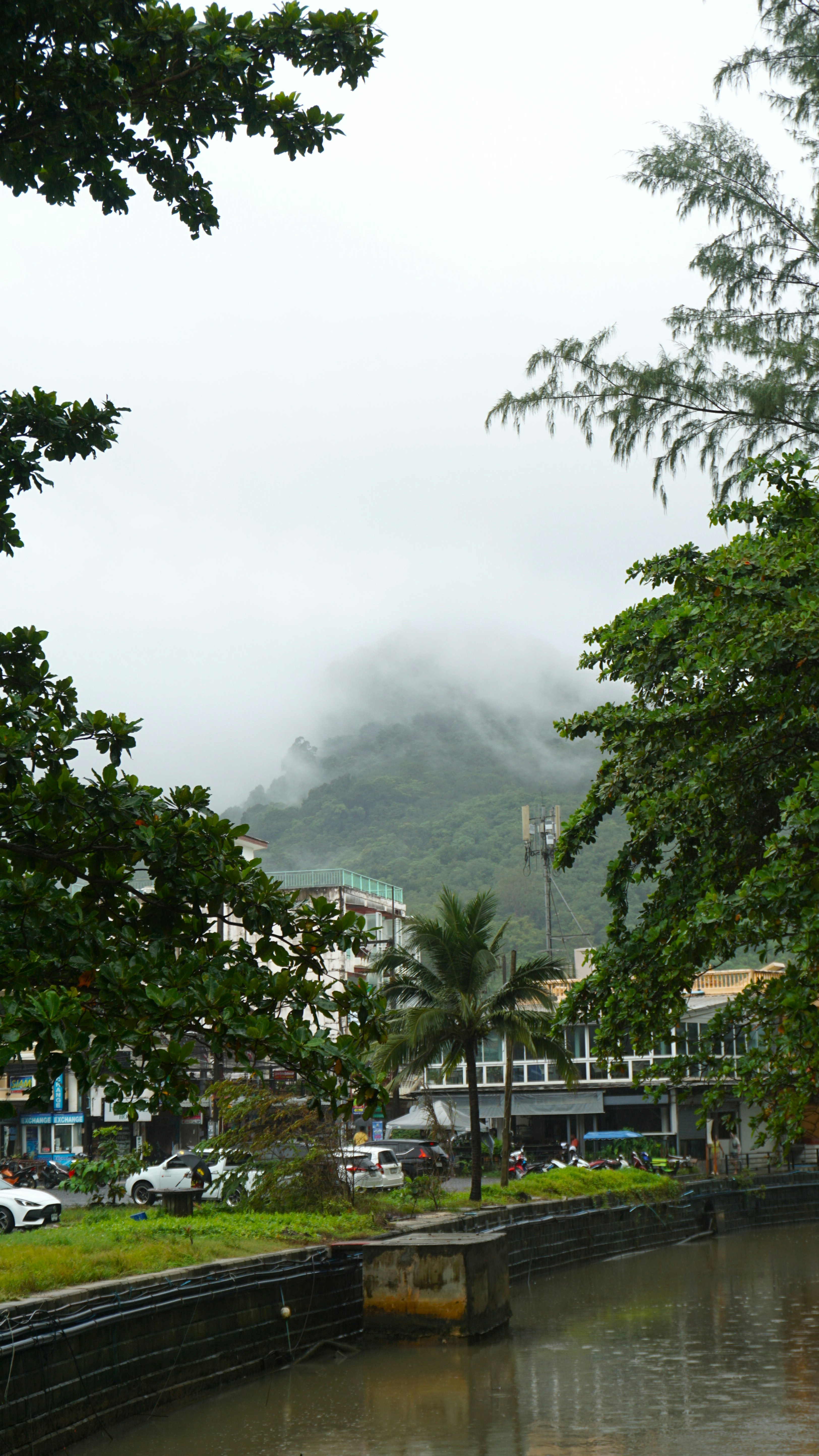 Veil of Mist Over Urban Serenity