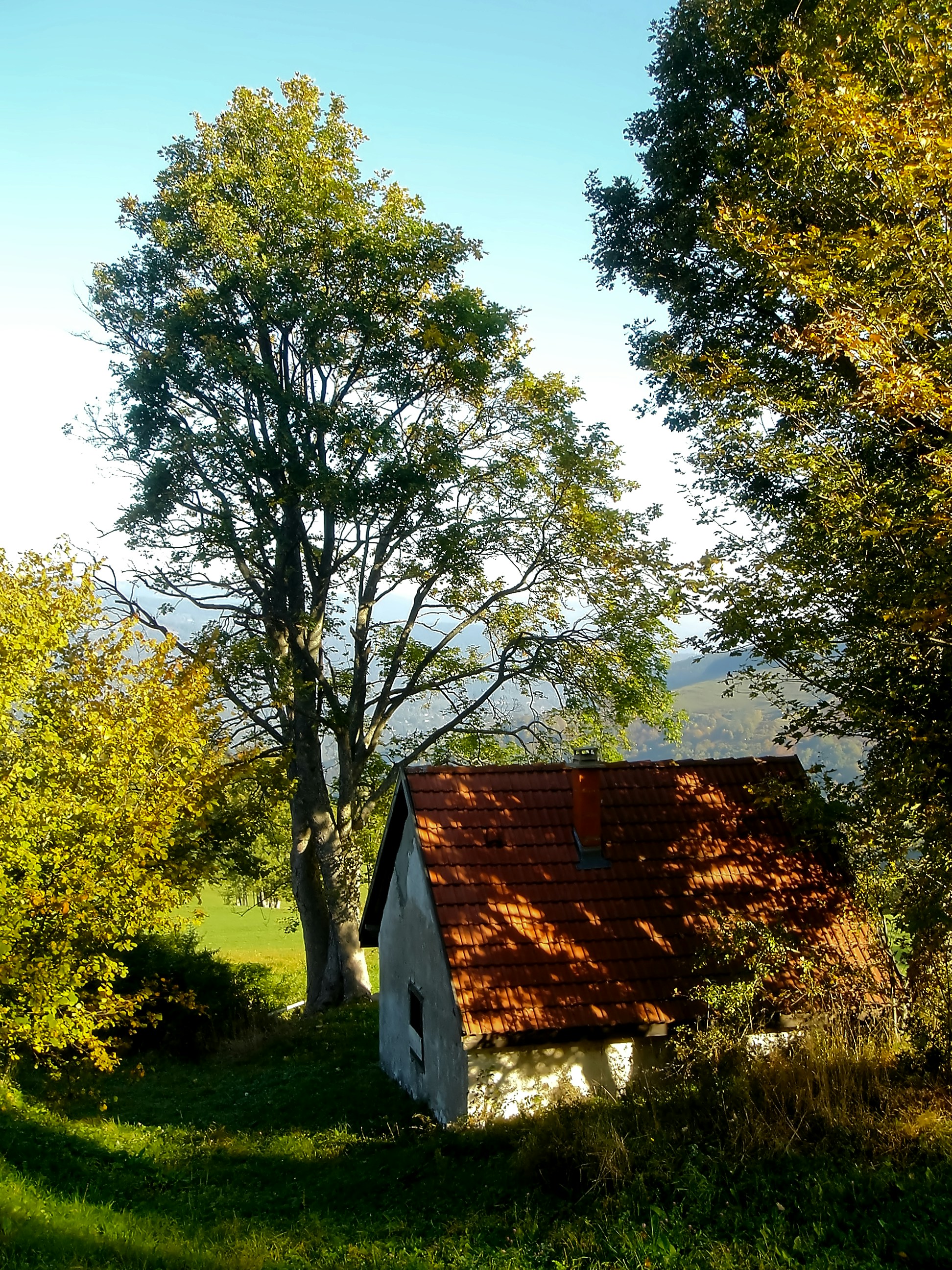 Whispers of Autumn: A Serene Retreat