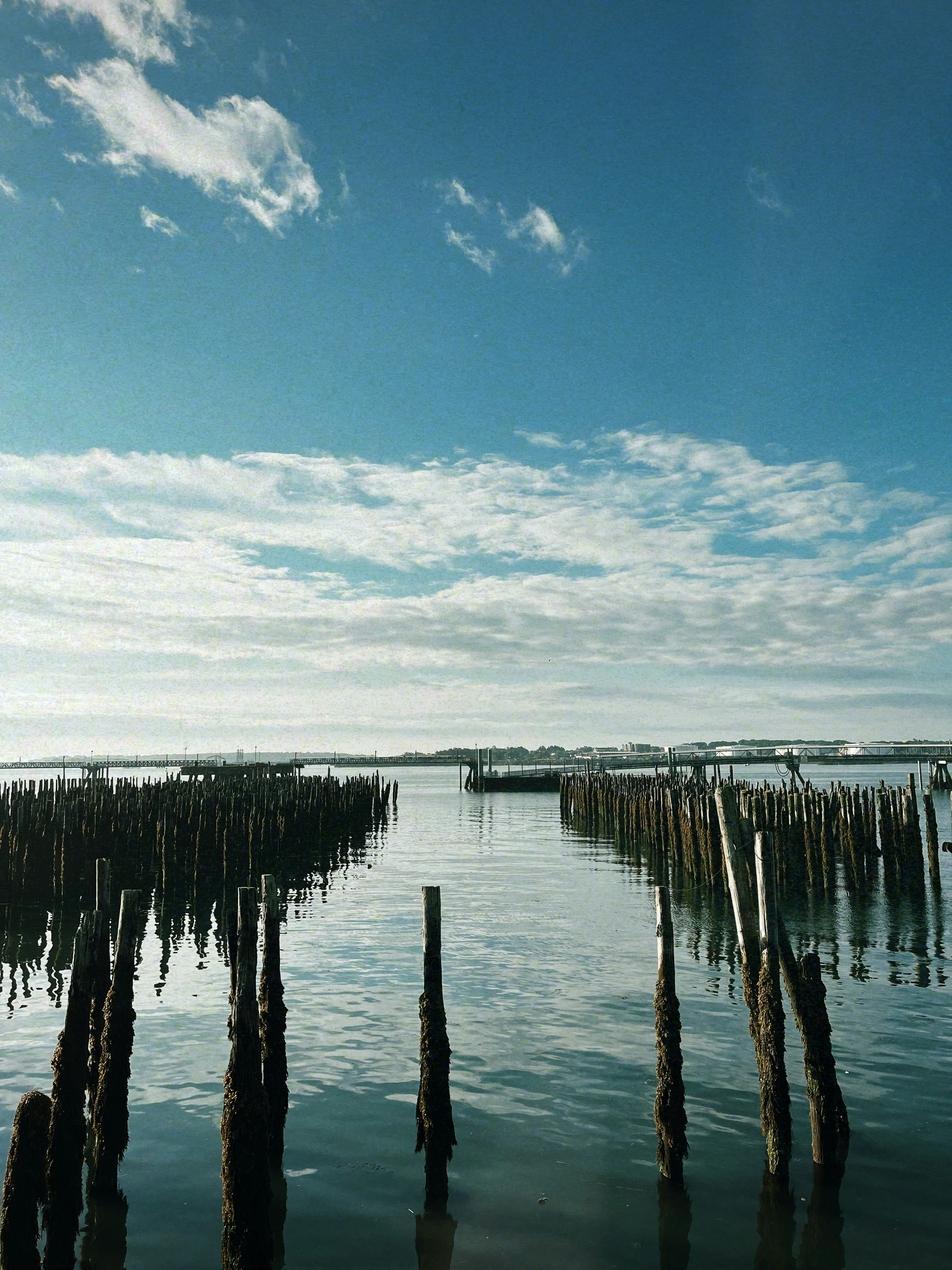 Wooden posts in the water under a cloudy sky.