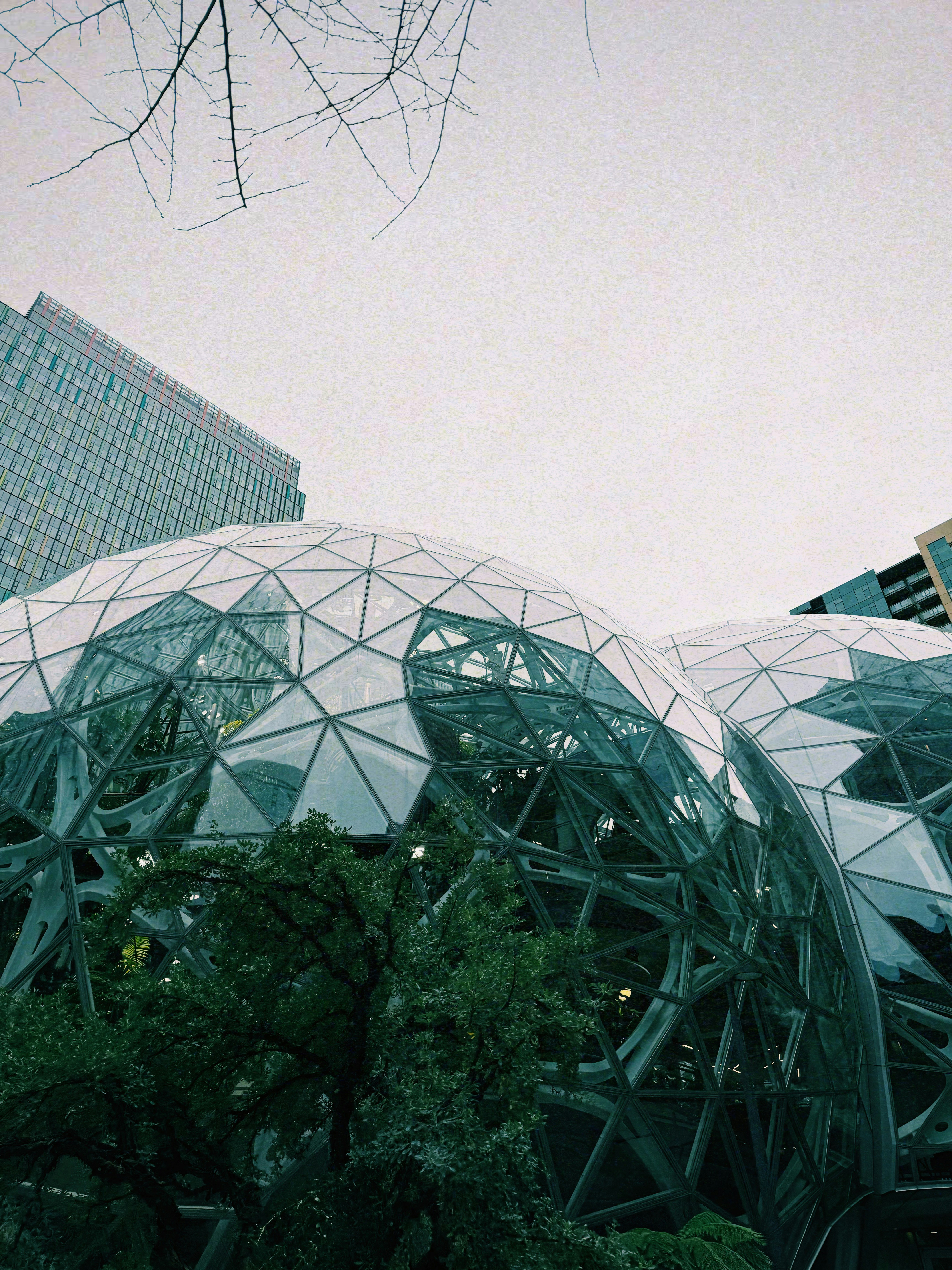 Modern geodesic domes with glass and steel structure. photo – Free ...