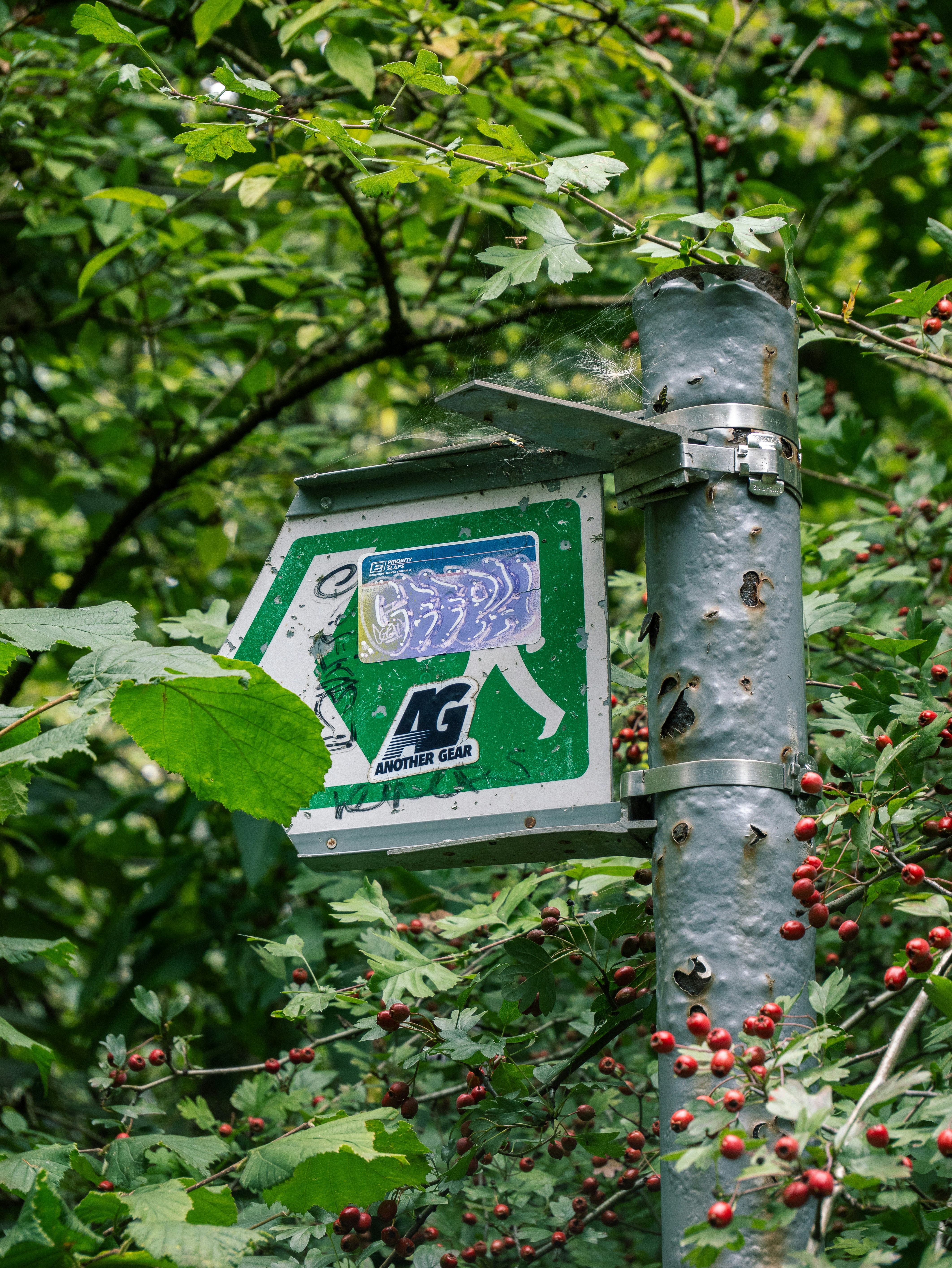 Industrial Sign Surrounded by Greenery: A Closer Look
