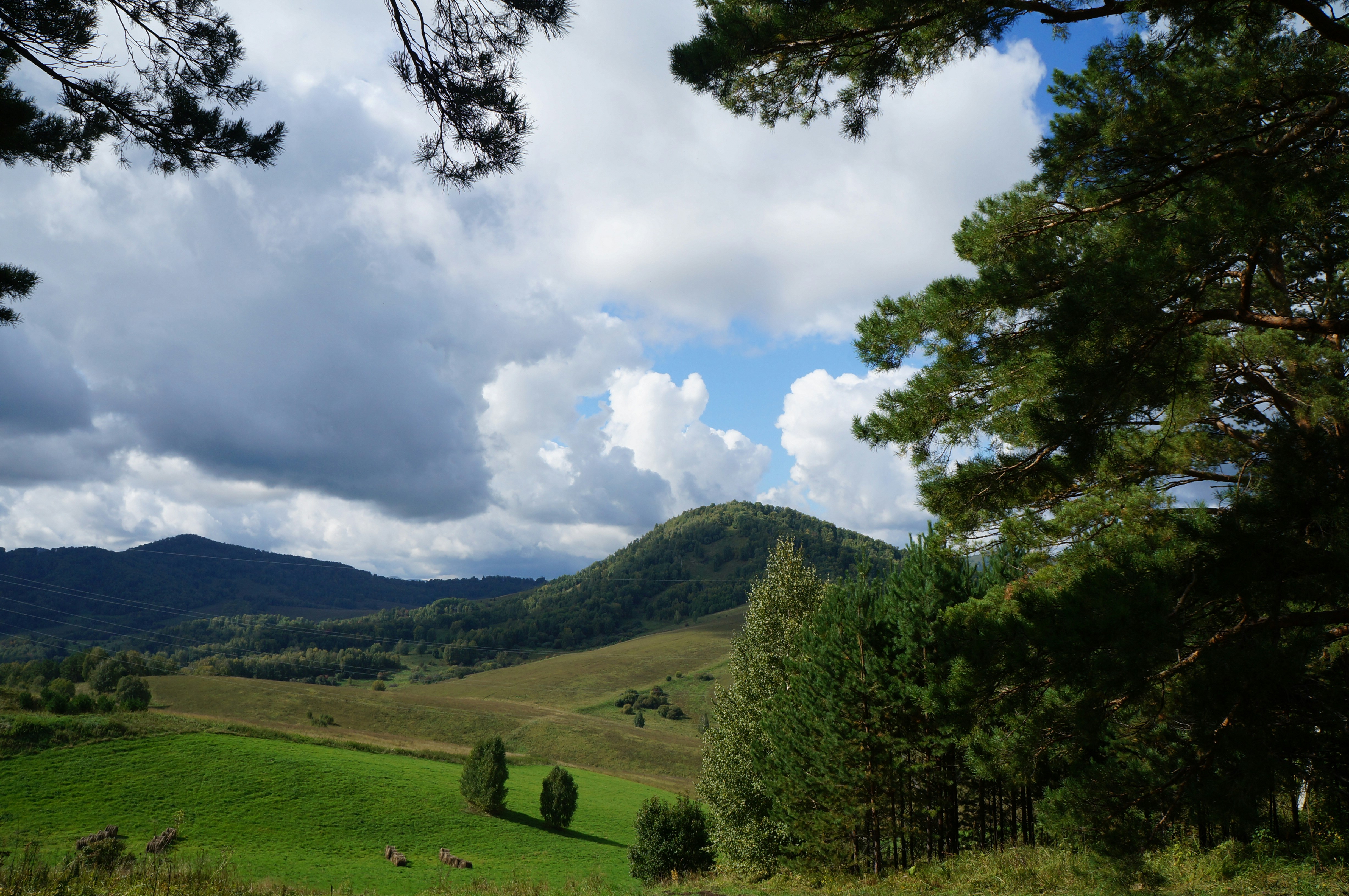 Lush green hills under a dynamic sky filled with fluffy clouds, framed by towering trees on either side.