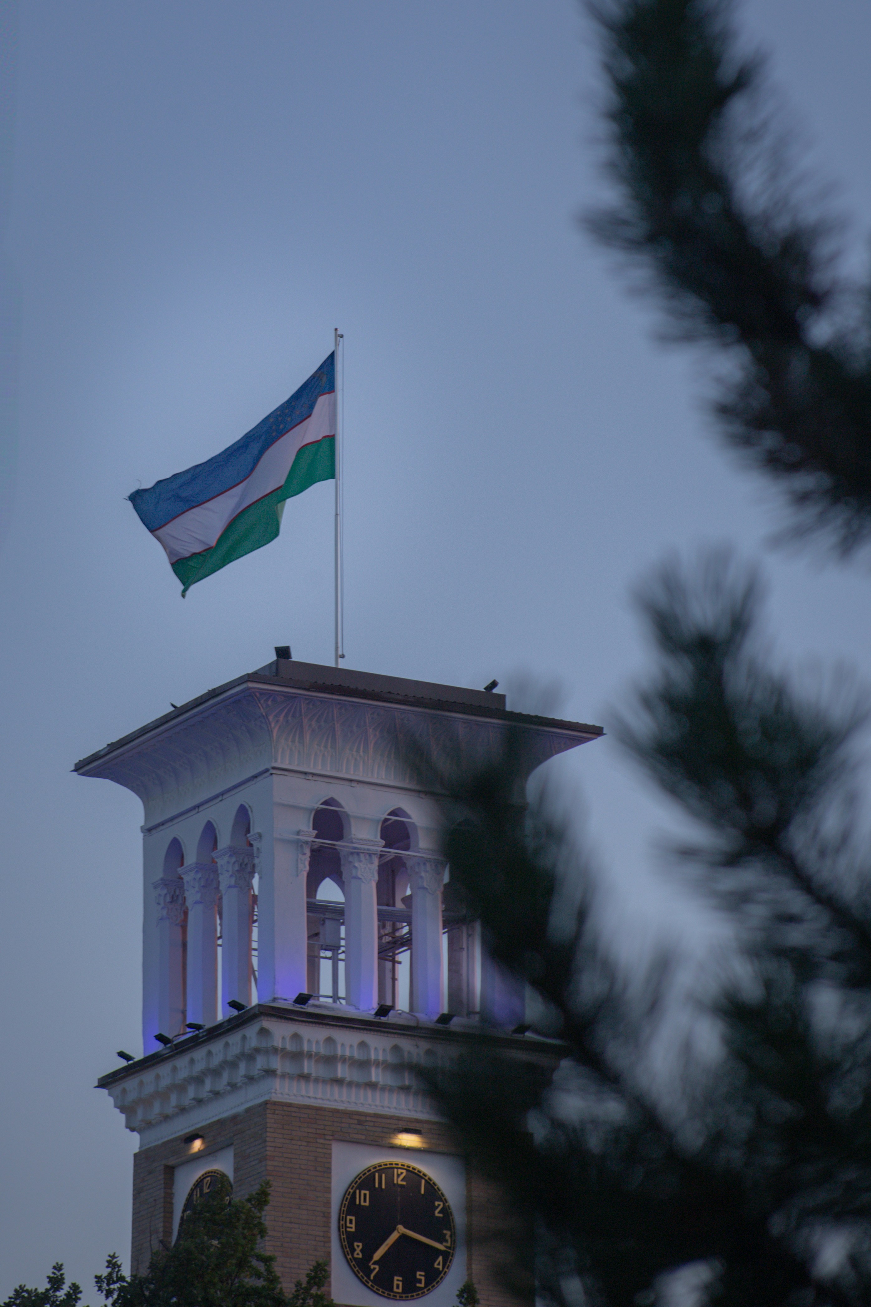 Twilight's Emblem: The Flag Above Time