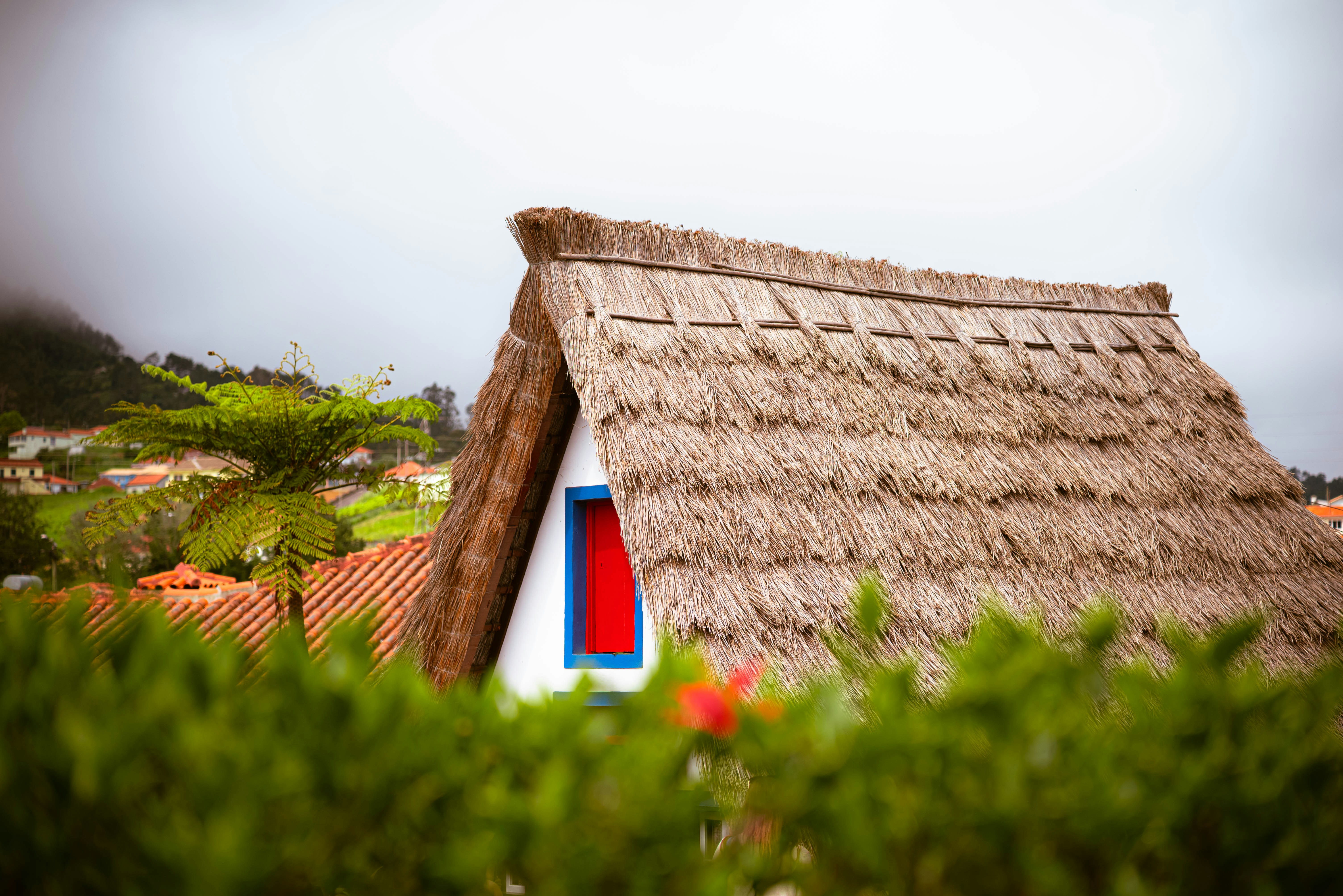 Charming Thatched Retreat Amidst Nature's Embrace