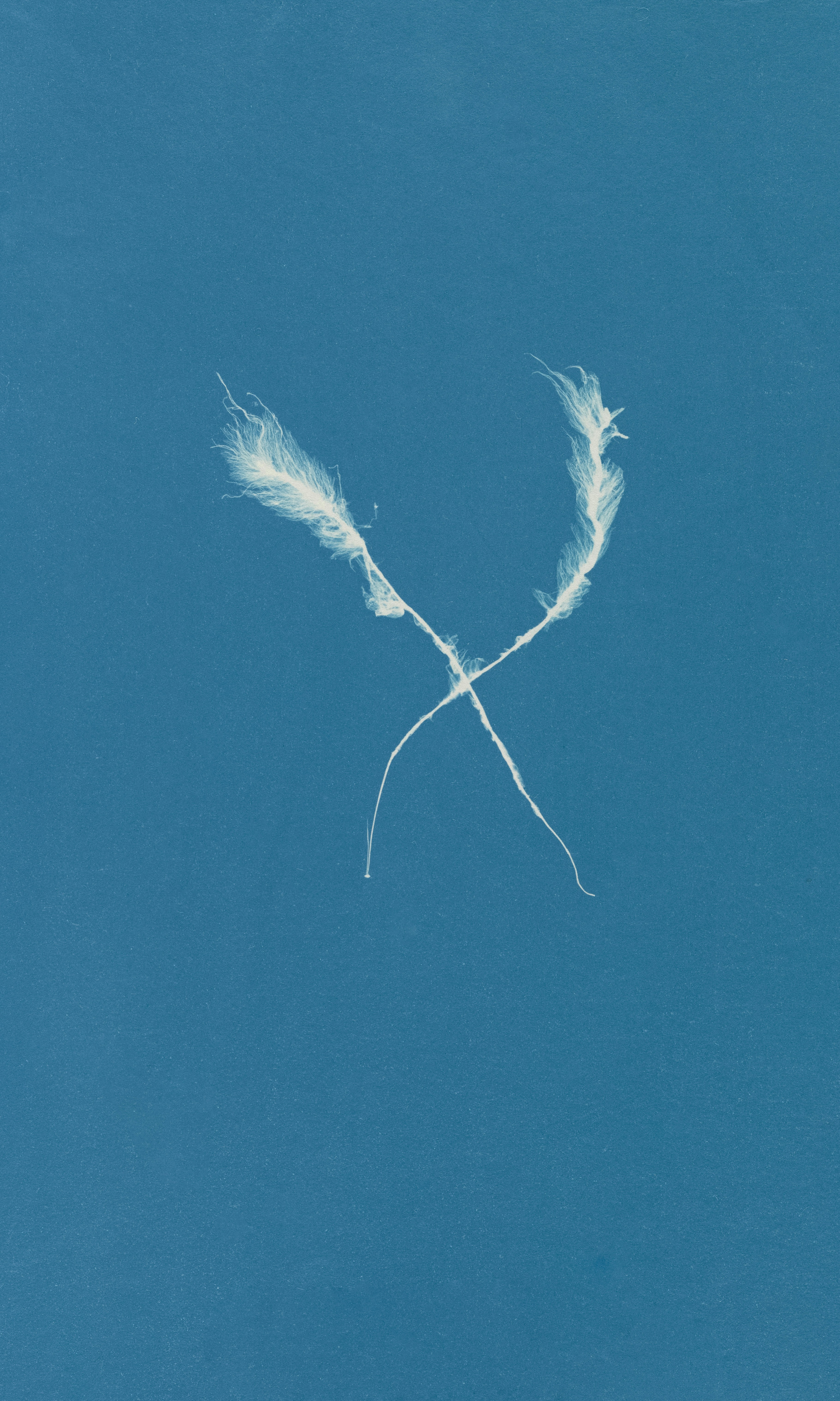 Free Blue Image on Unsplash
