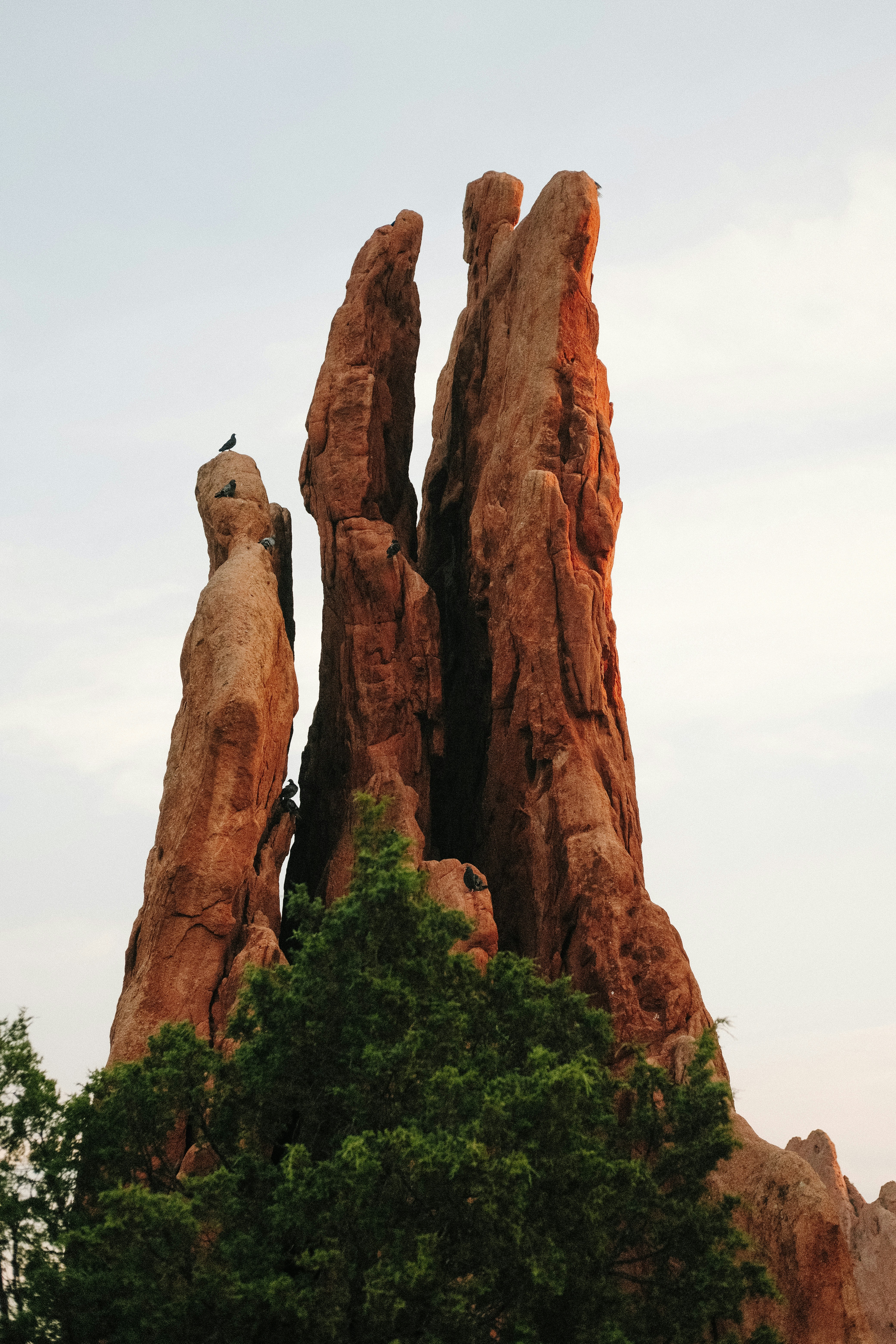 Tall sandstone rock formations with green trees.