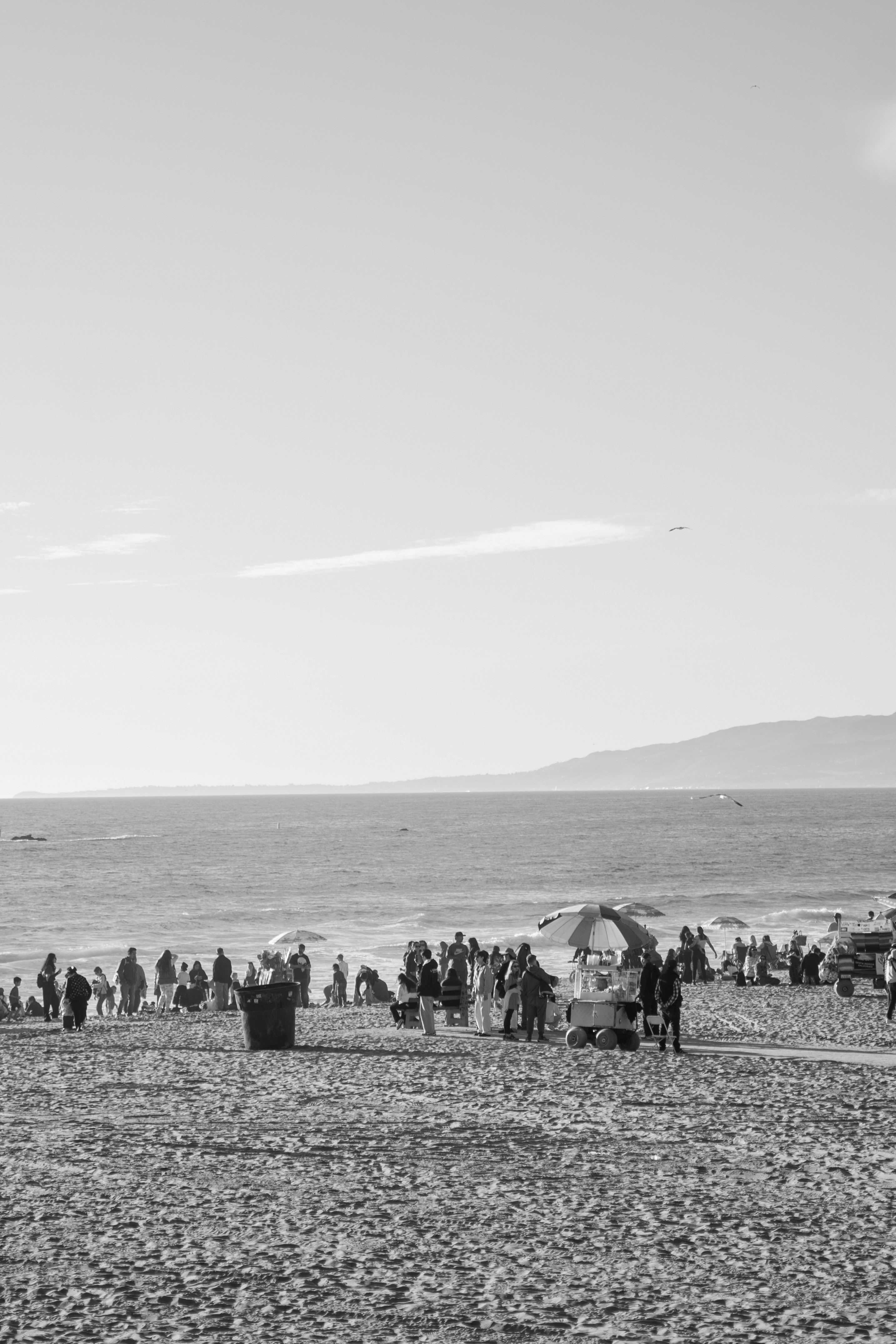 Seaside Serenity: A Day at the Shore