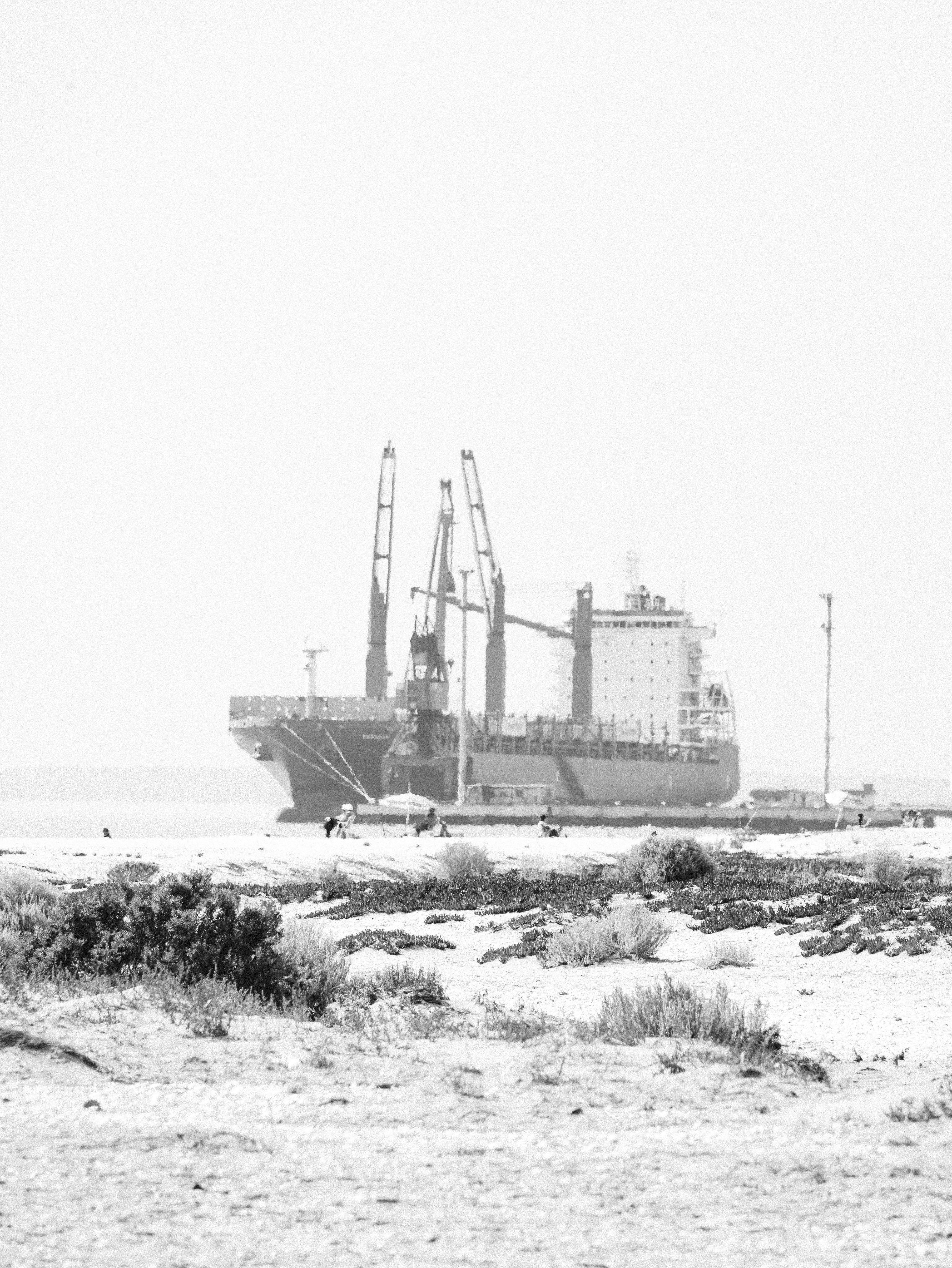 Silent Giants: The Cargo Ship's Journey