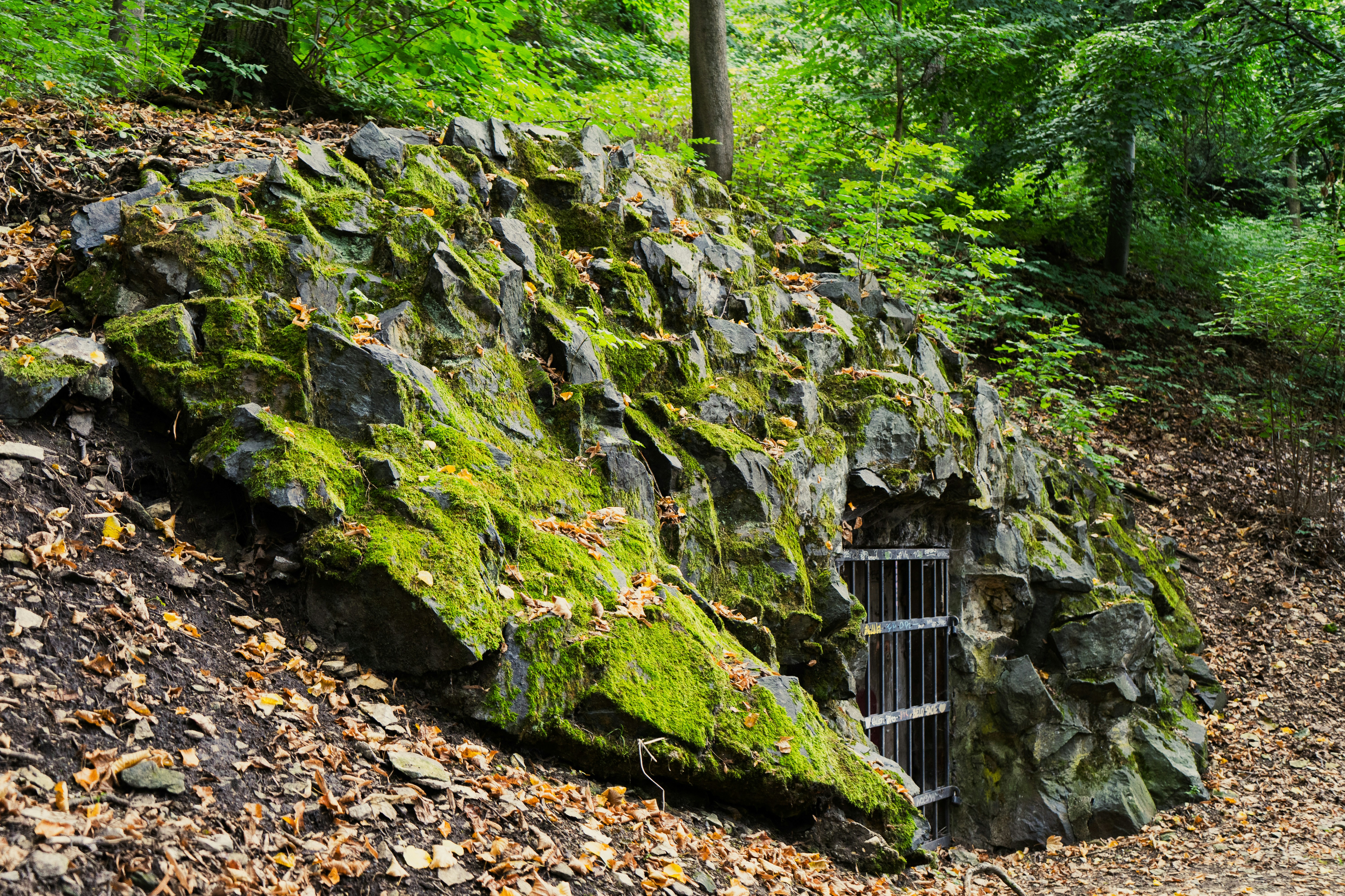 Whispers of the Hidden Cave
