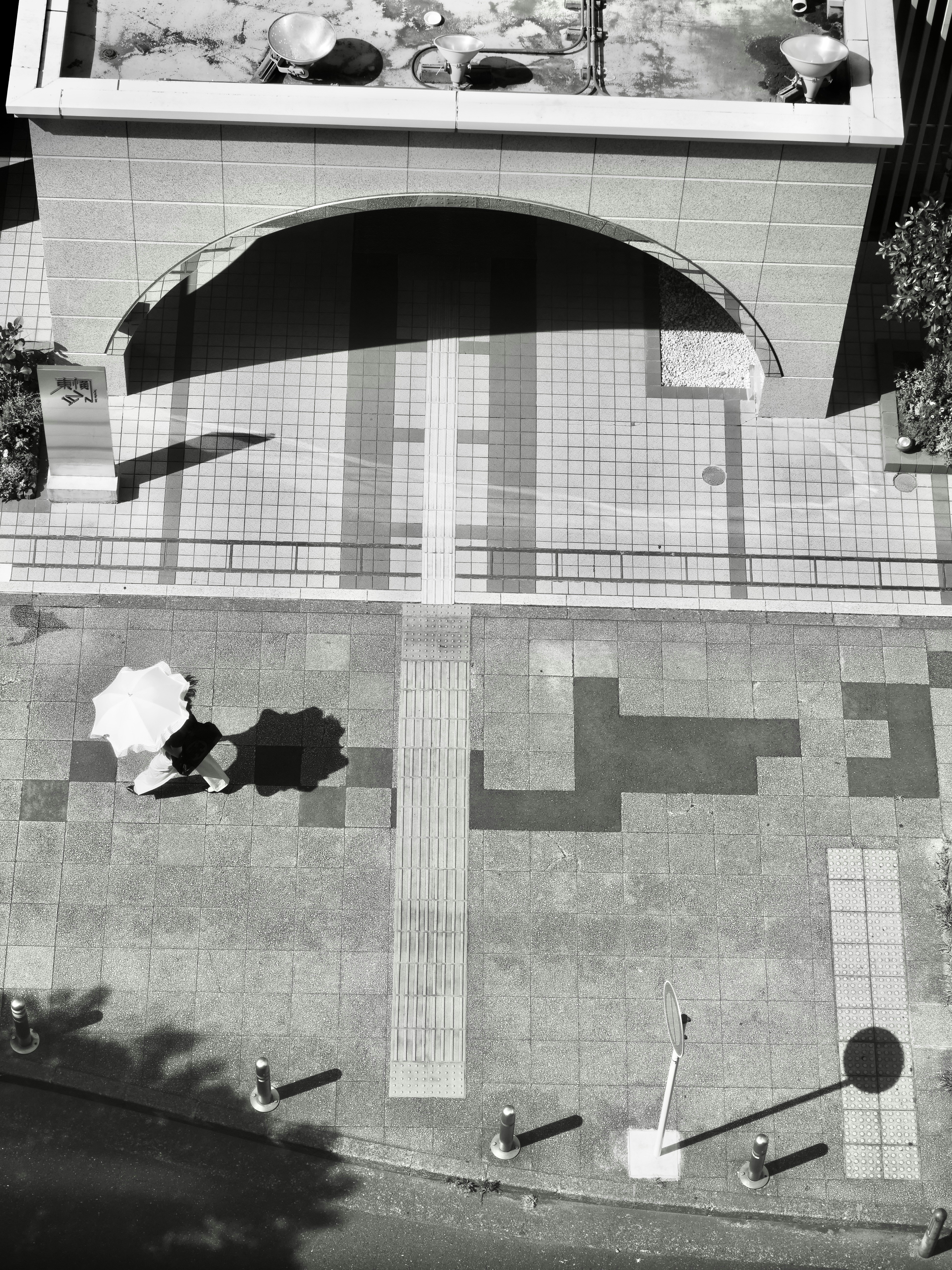 Urban Solitude Under a Canopy of Shade