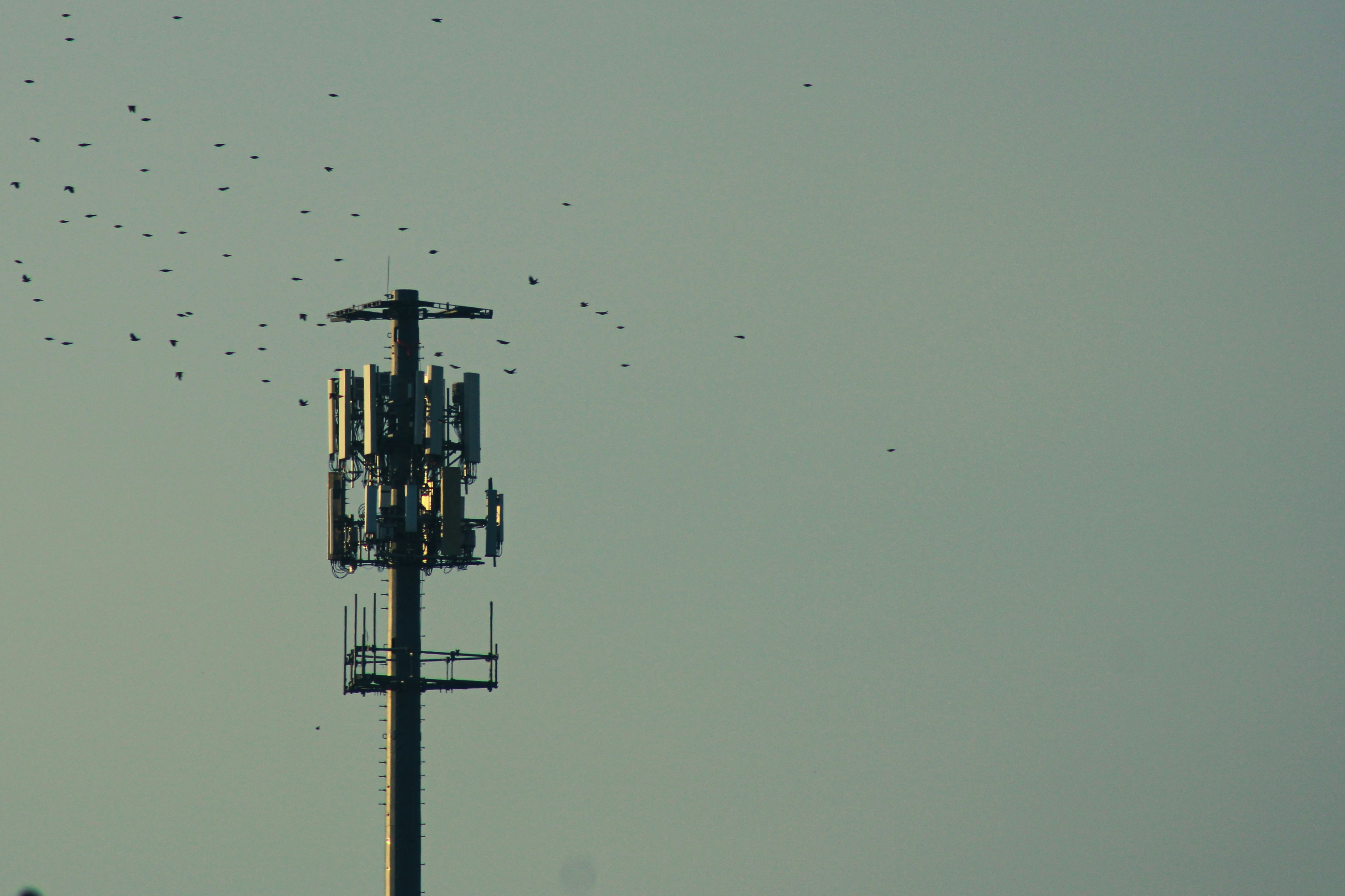 Harmony of Technology and Nature