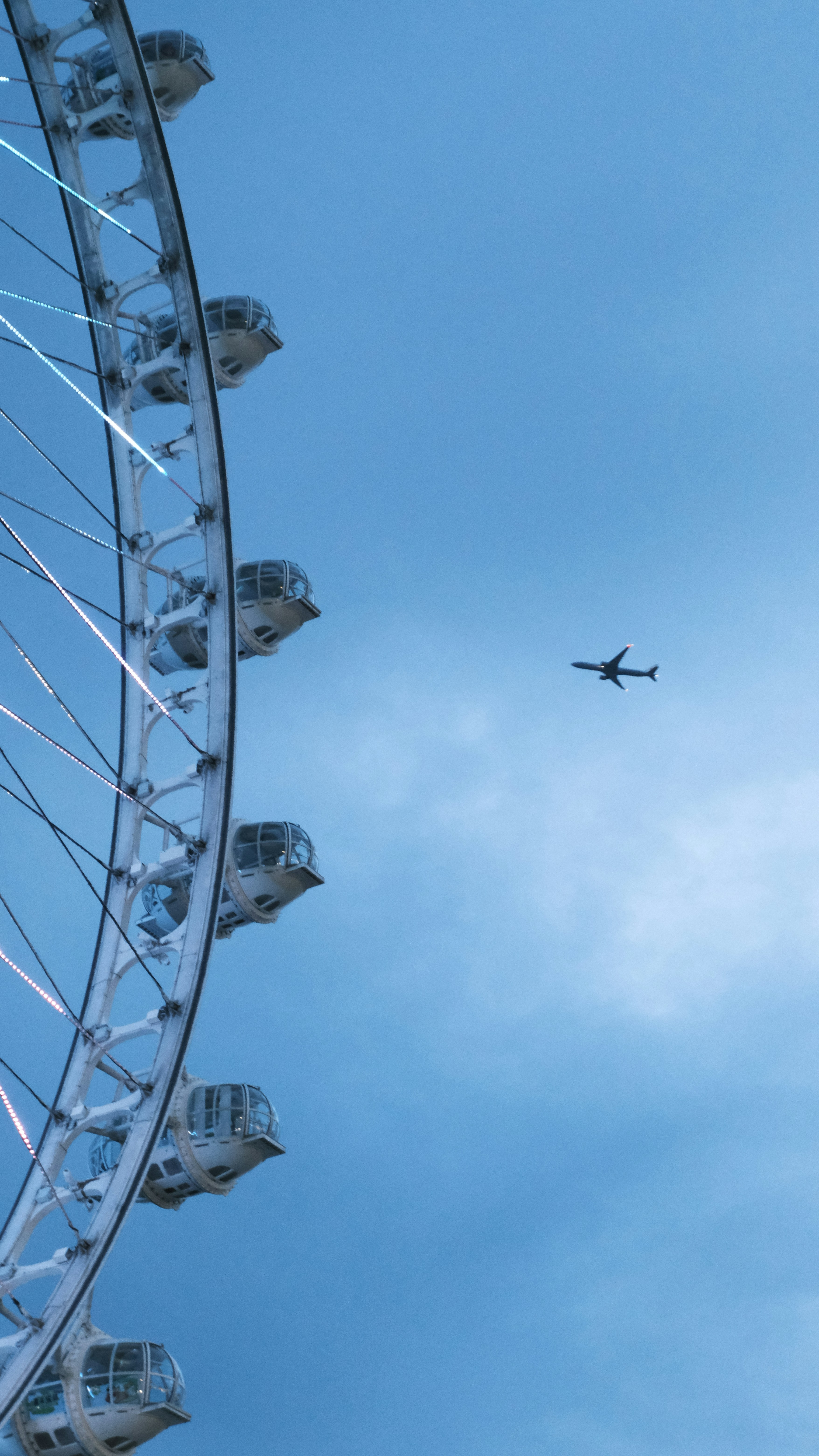 Jet against the Giant Ferris Wheel: a Skyward Moment