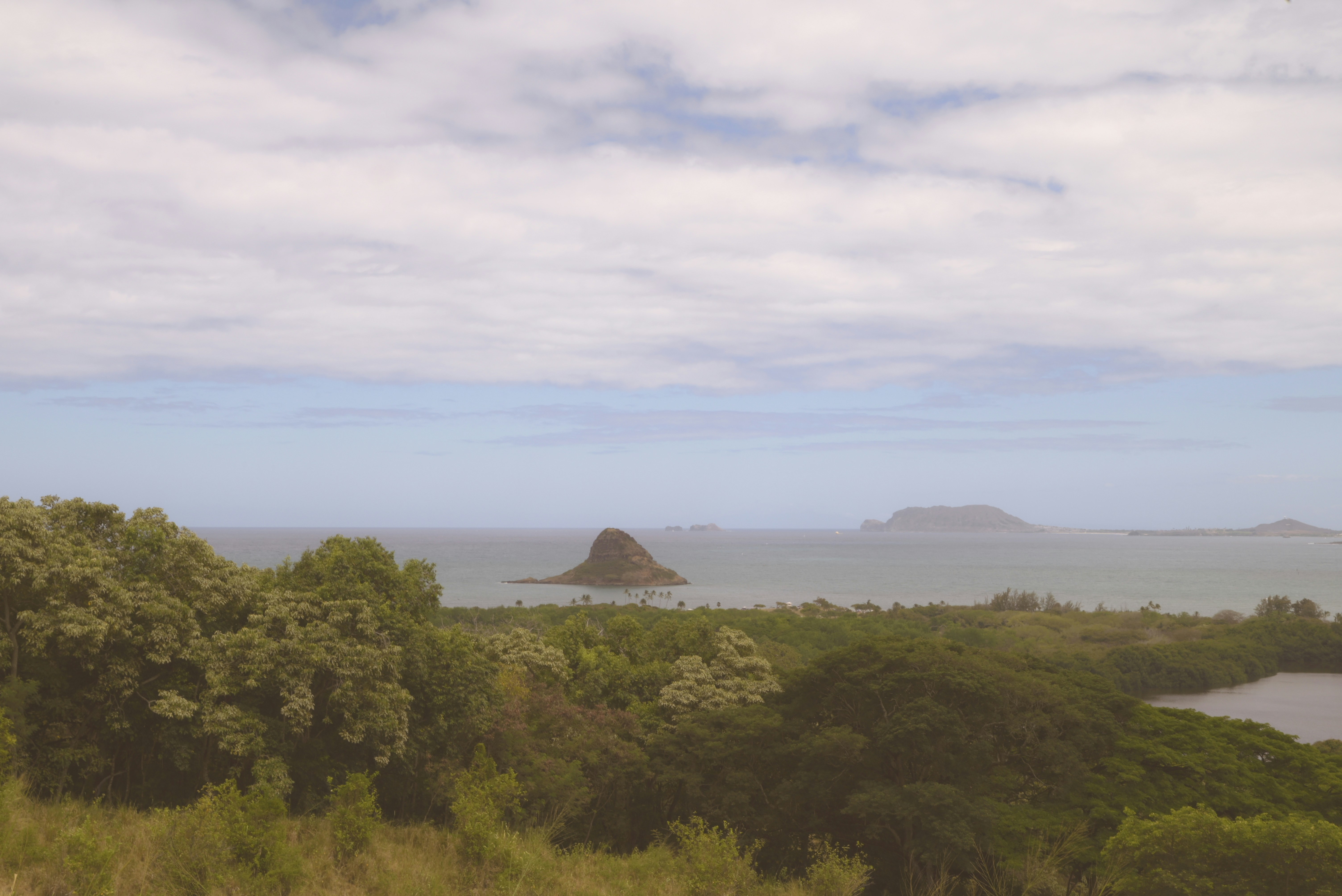 Isle of Tranquility Amidst Lush Greenery