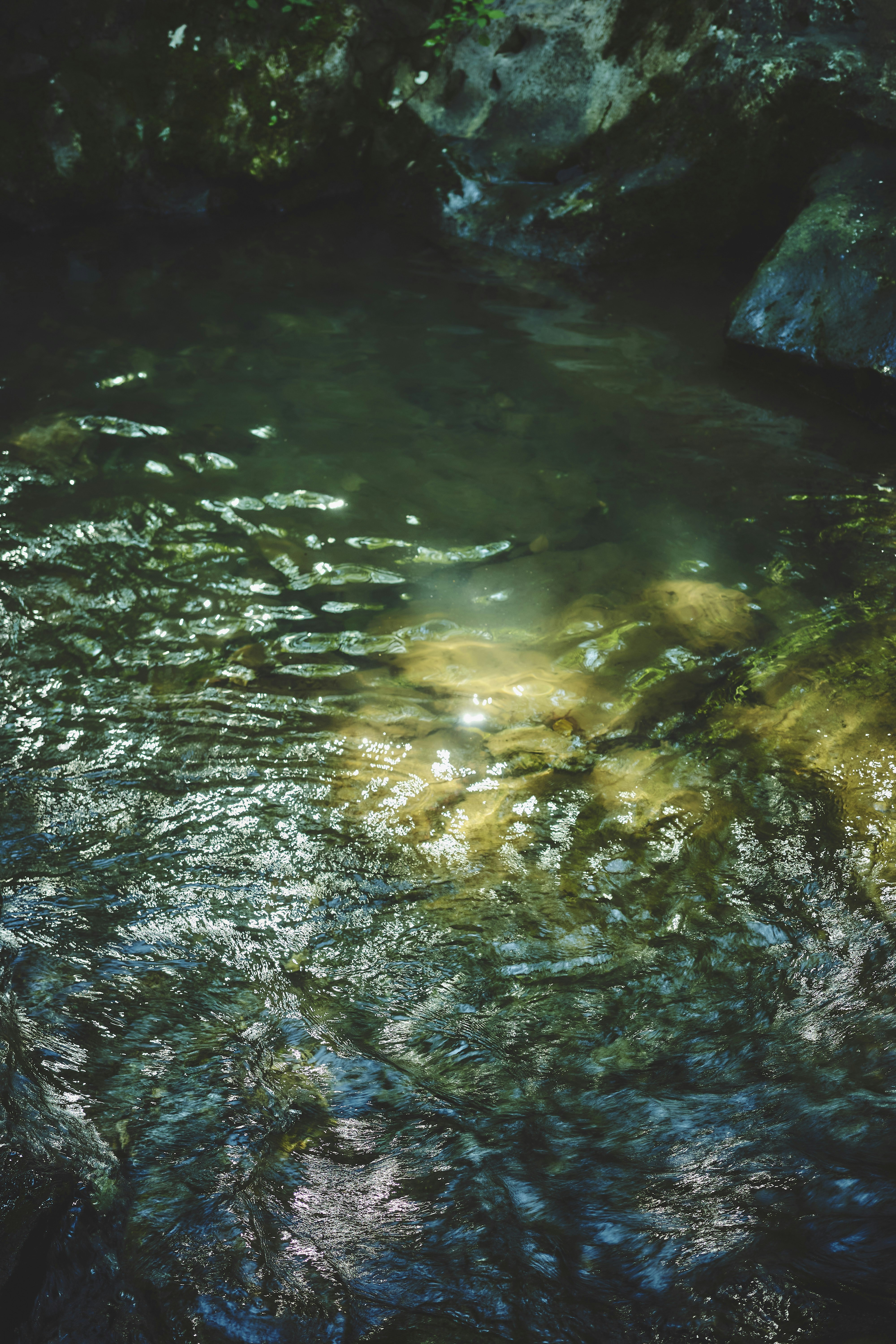 Sunlight reflects on the surface of a flowing stream. photo – Free ...