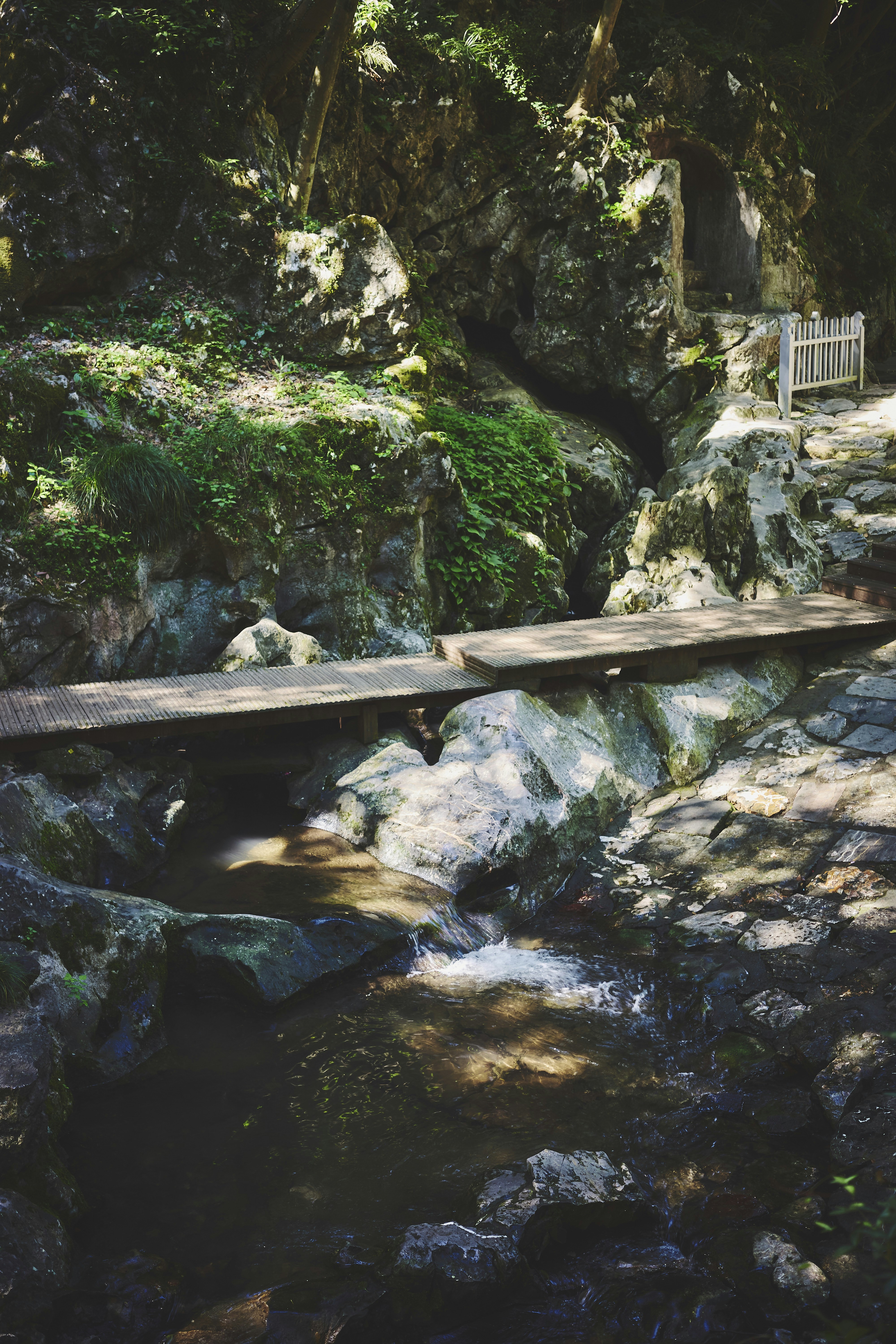 Wooden bridge over a rocky stream in a forest