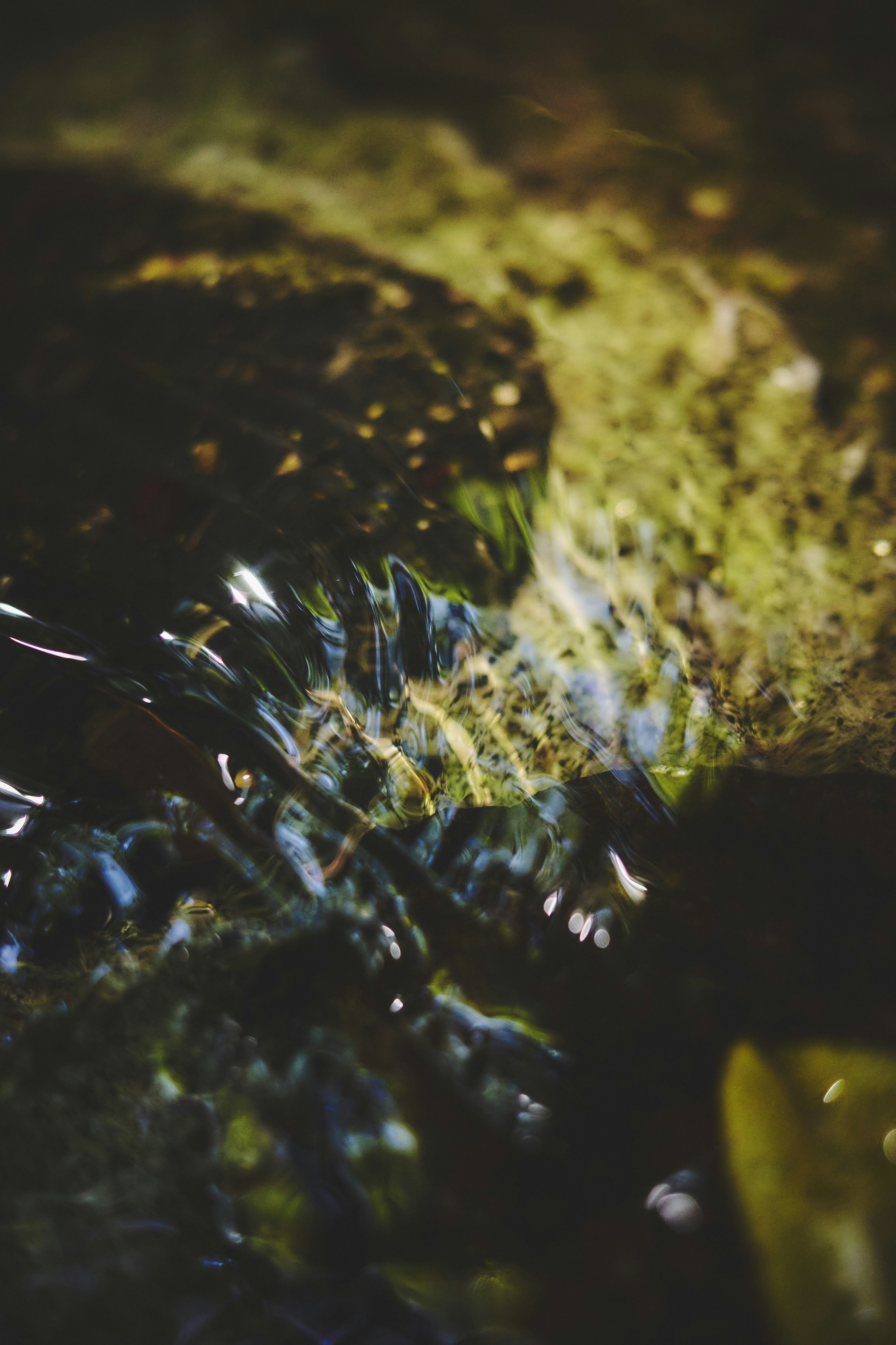 Ripples on water reflecting mossy rocks