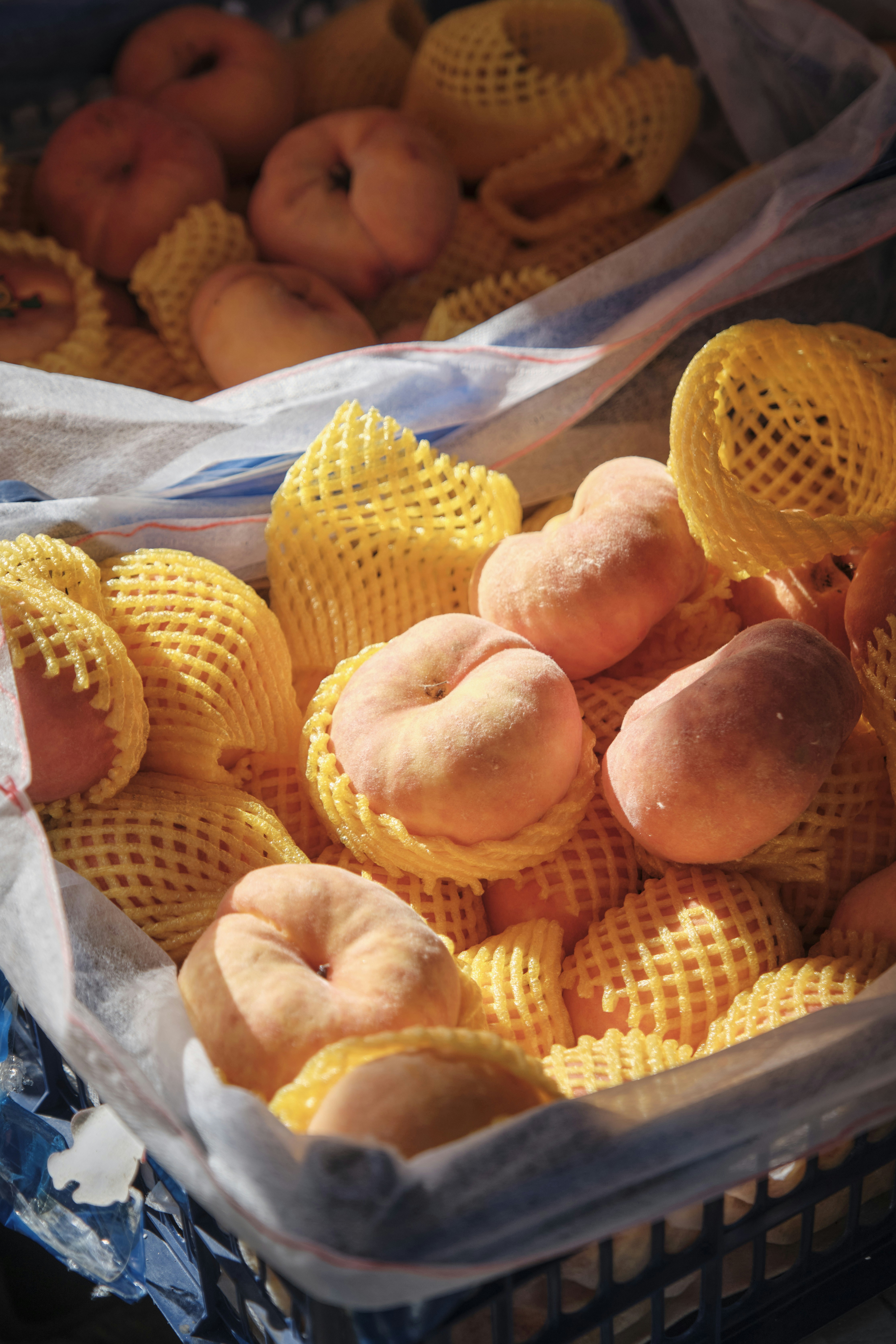 Harvested Delights: A Study in Color and Form