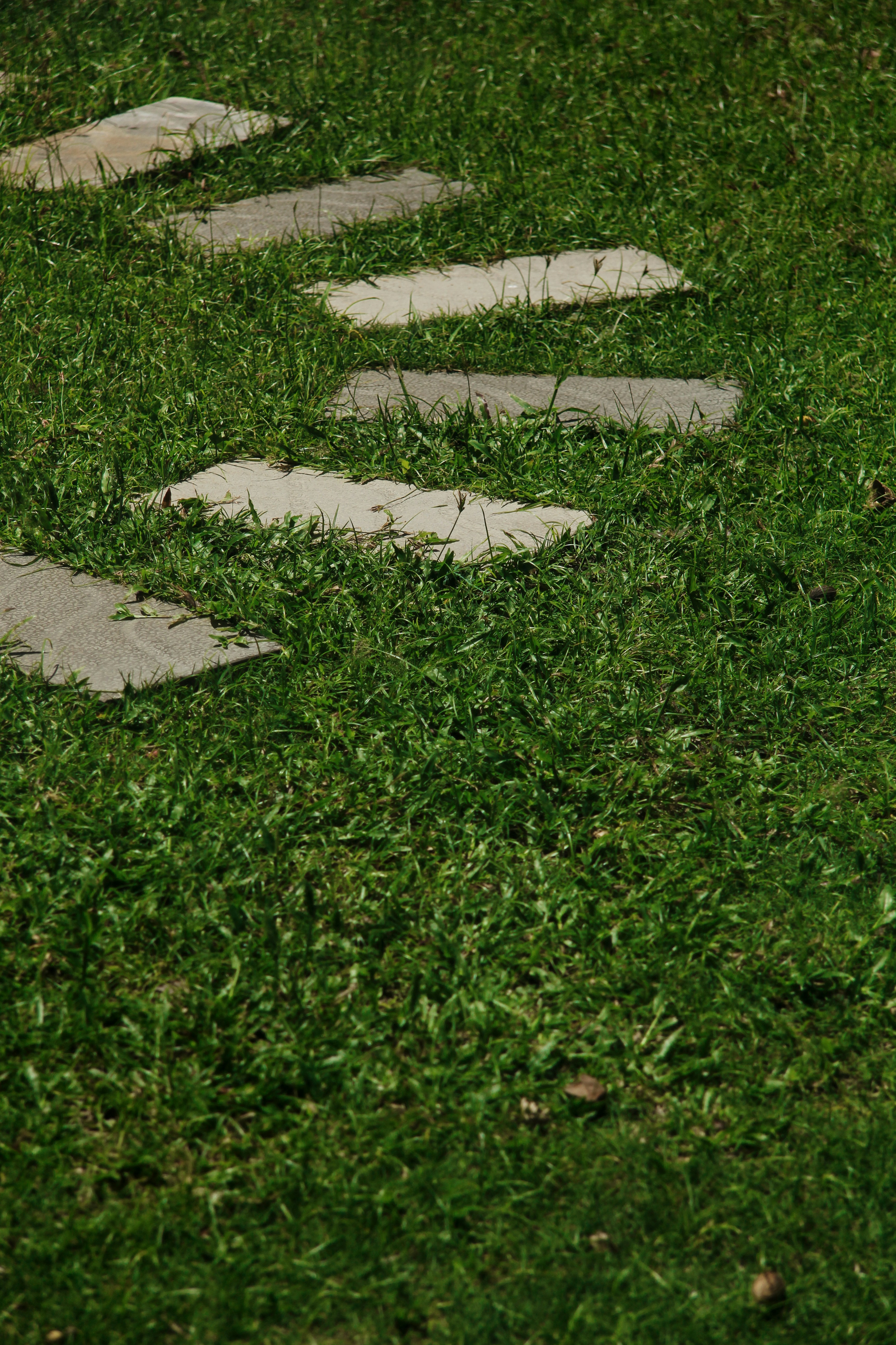 Stone pathway meandering through lush green grass, inviting exploration. Natural elements harmonize to create a serene outdoor scene.