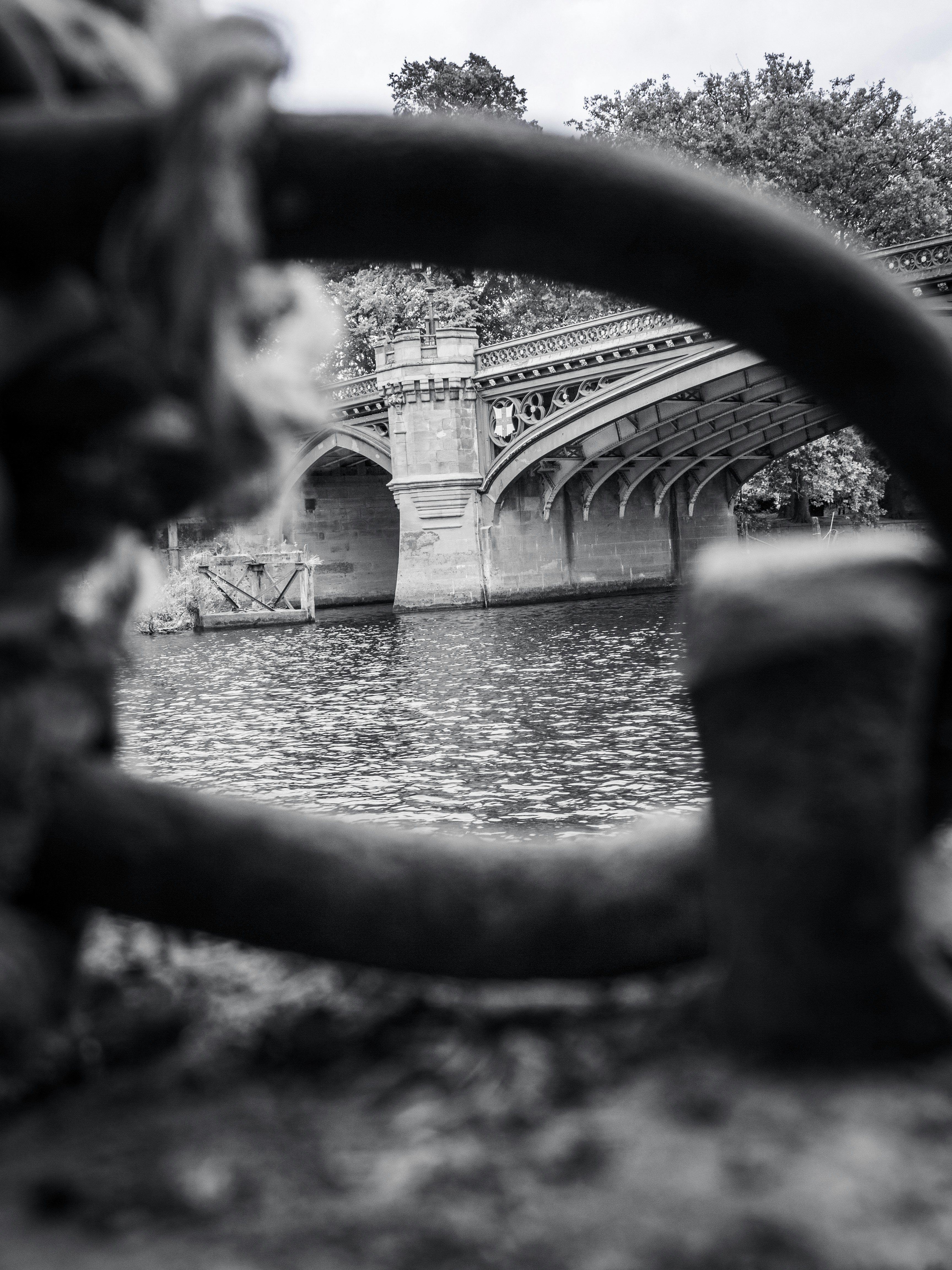 Framed Elegance: A Bridge's Reflection