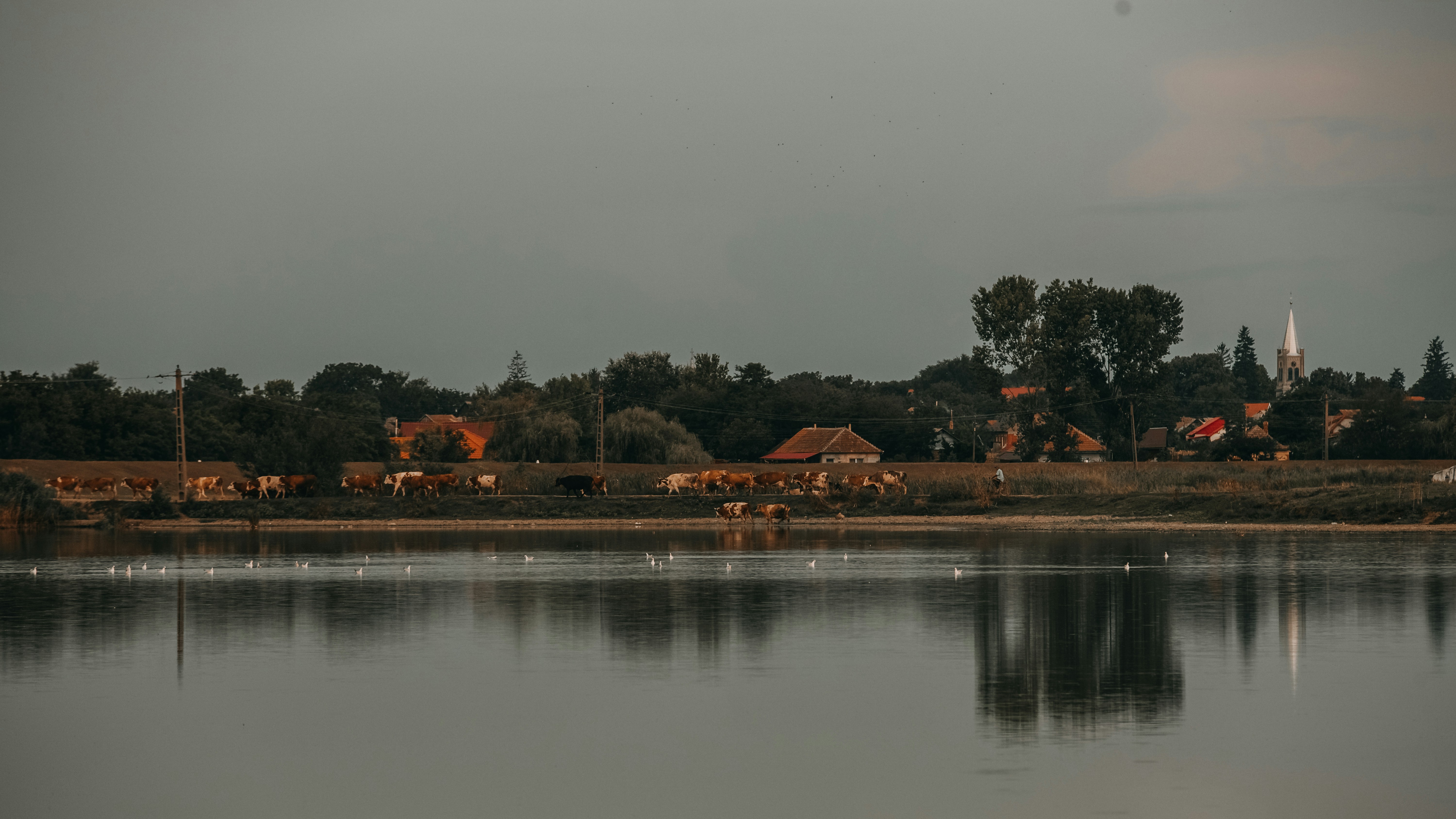 Rural village on a lake at dusk.