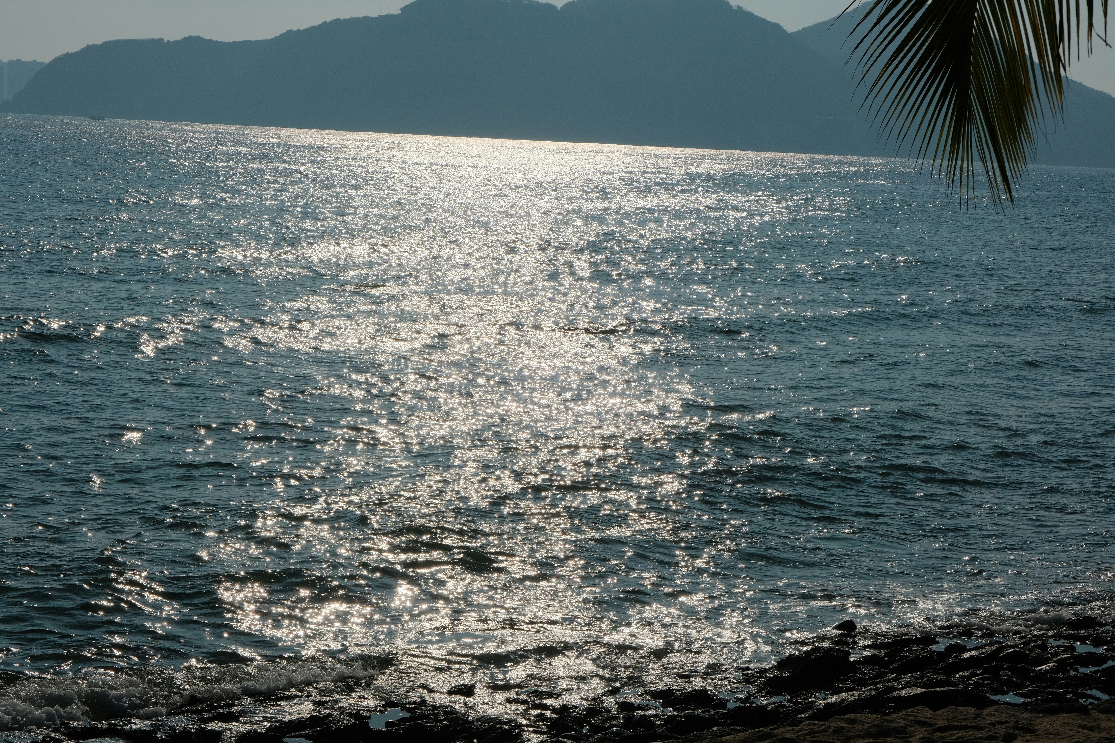 Sparkling ocean water with distant mountains and palm frond.